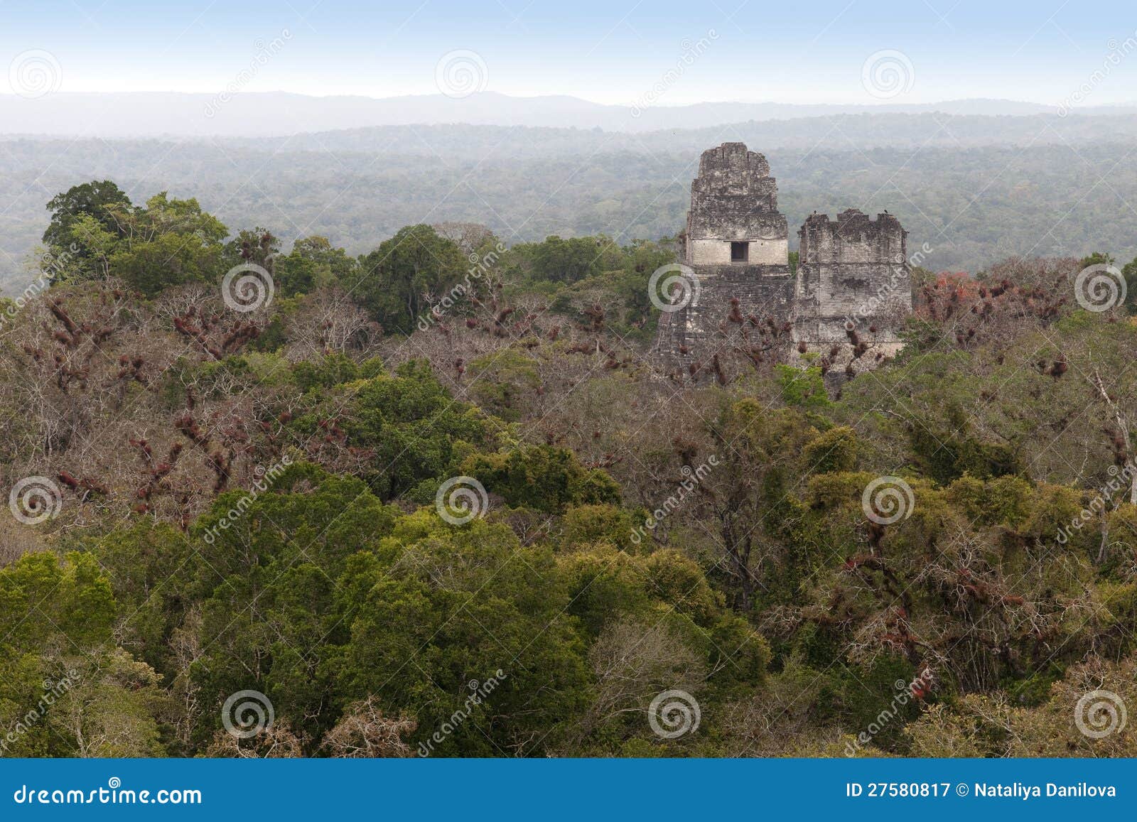 Mayan Ruins in Jungle Tikal Stock Image - Image of mayan, religion ...
