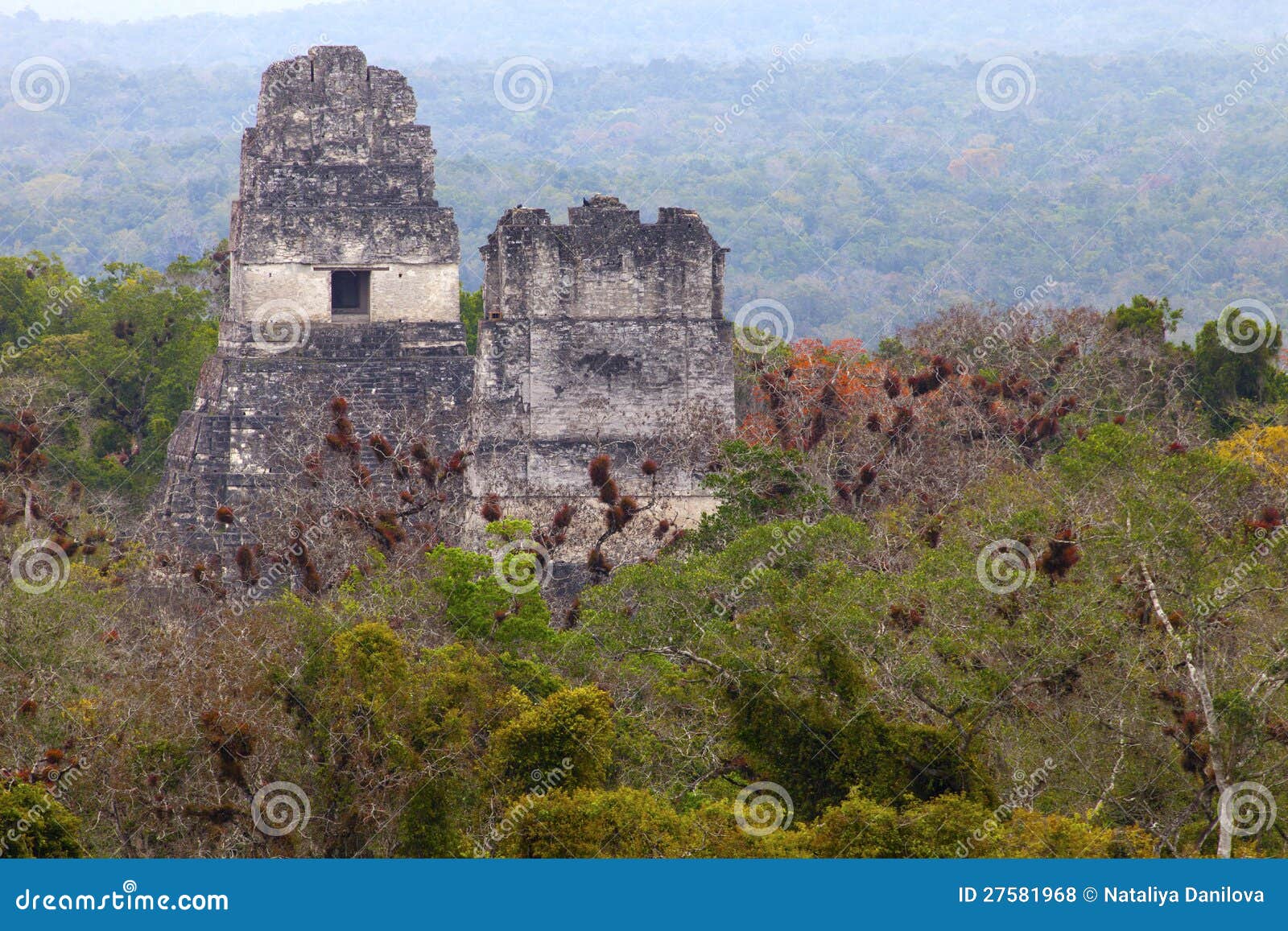 Mayan Ruins in Jungle Tikal Stock Photo - Image of power, amazing: 27581968