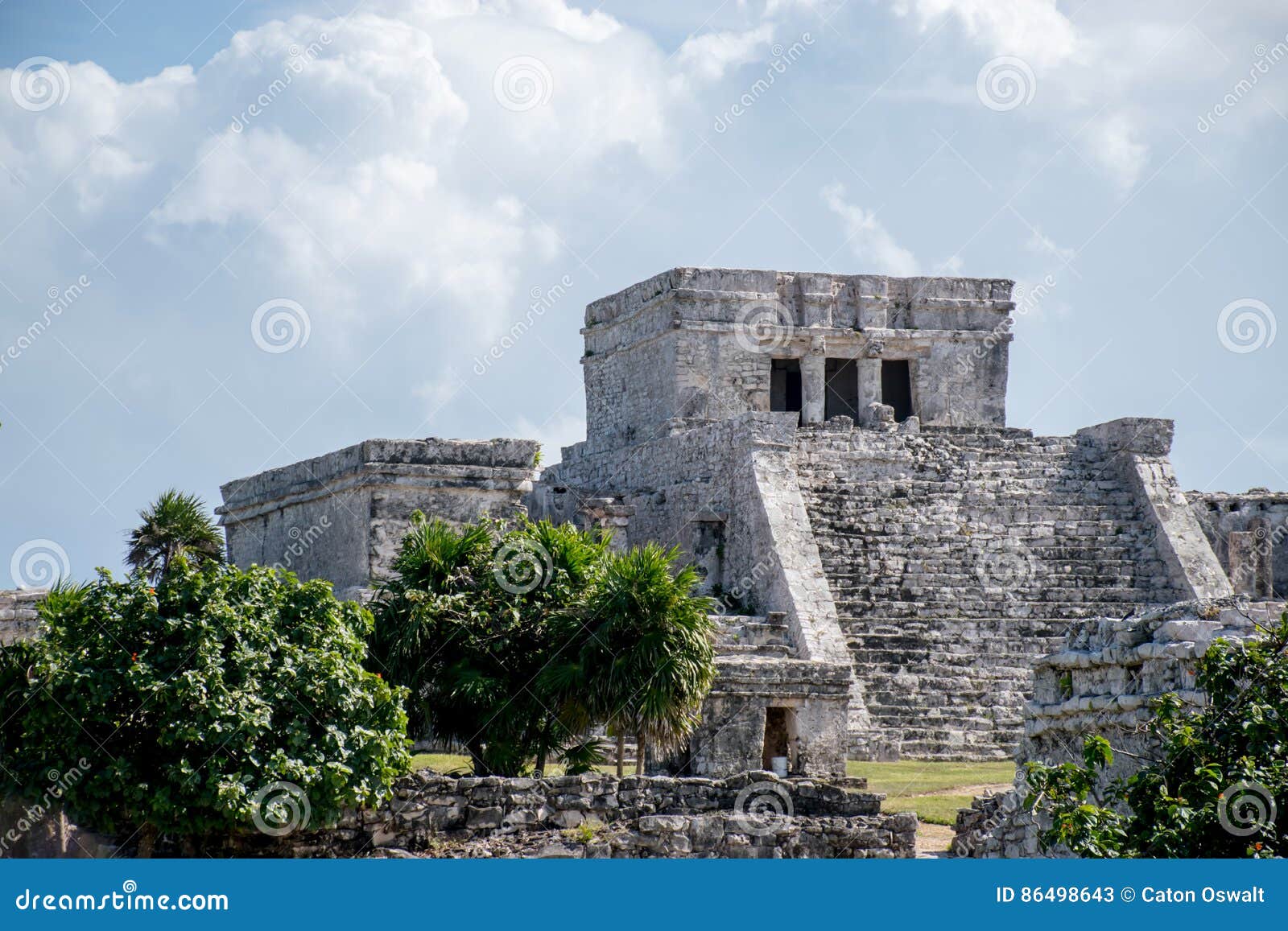 Mayan Temple stock image. Image of mayan, large, tree - 86498643