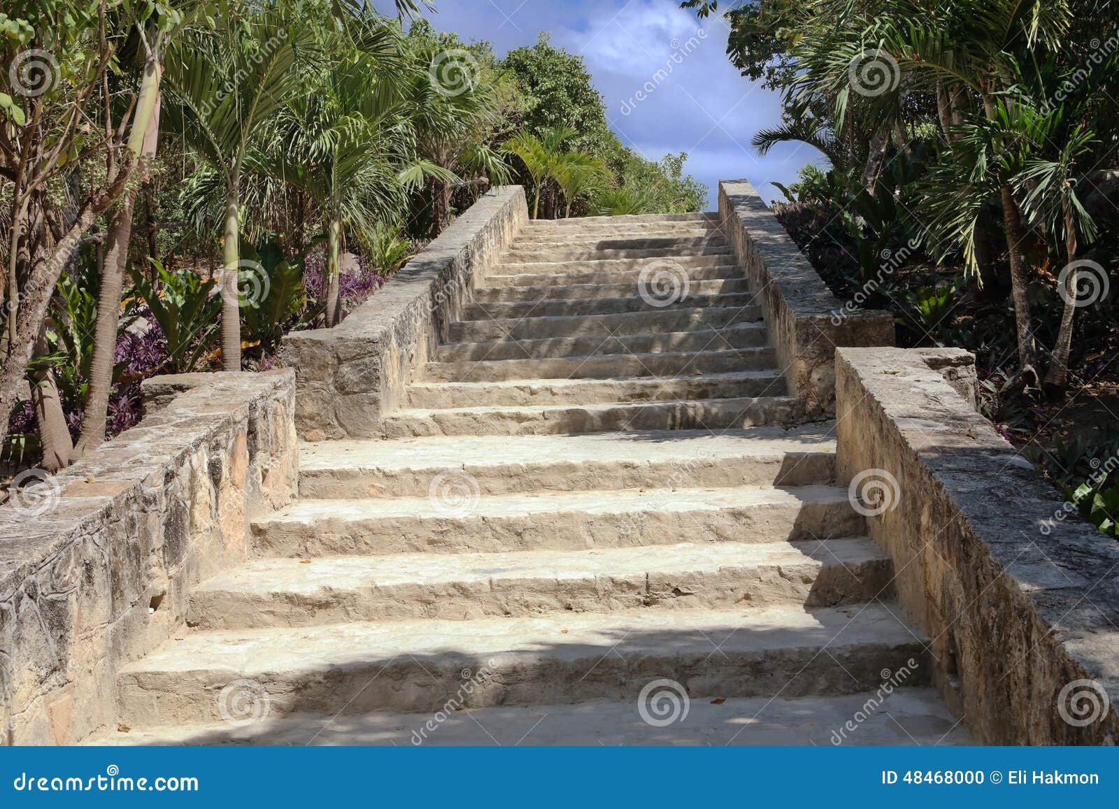 Mayan temple stairs up stock photo. Image of green, tree - 48468000