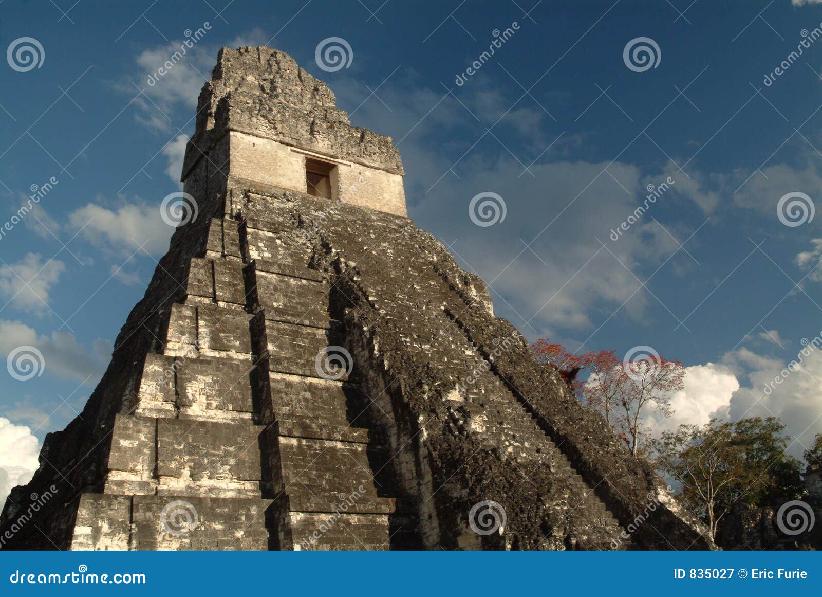Mayan Temple in Tikal, Guatemala Stock Image - Image of forest, tourist ...