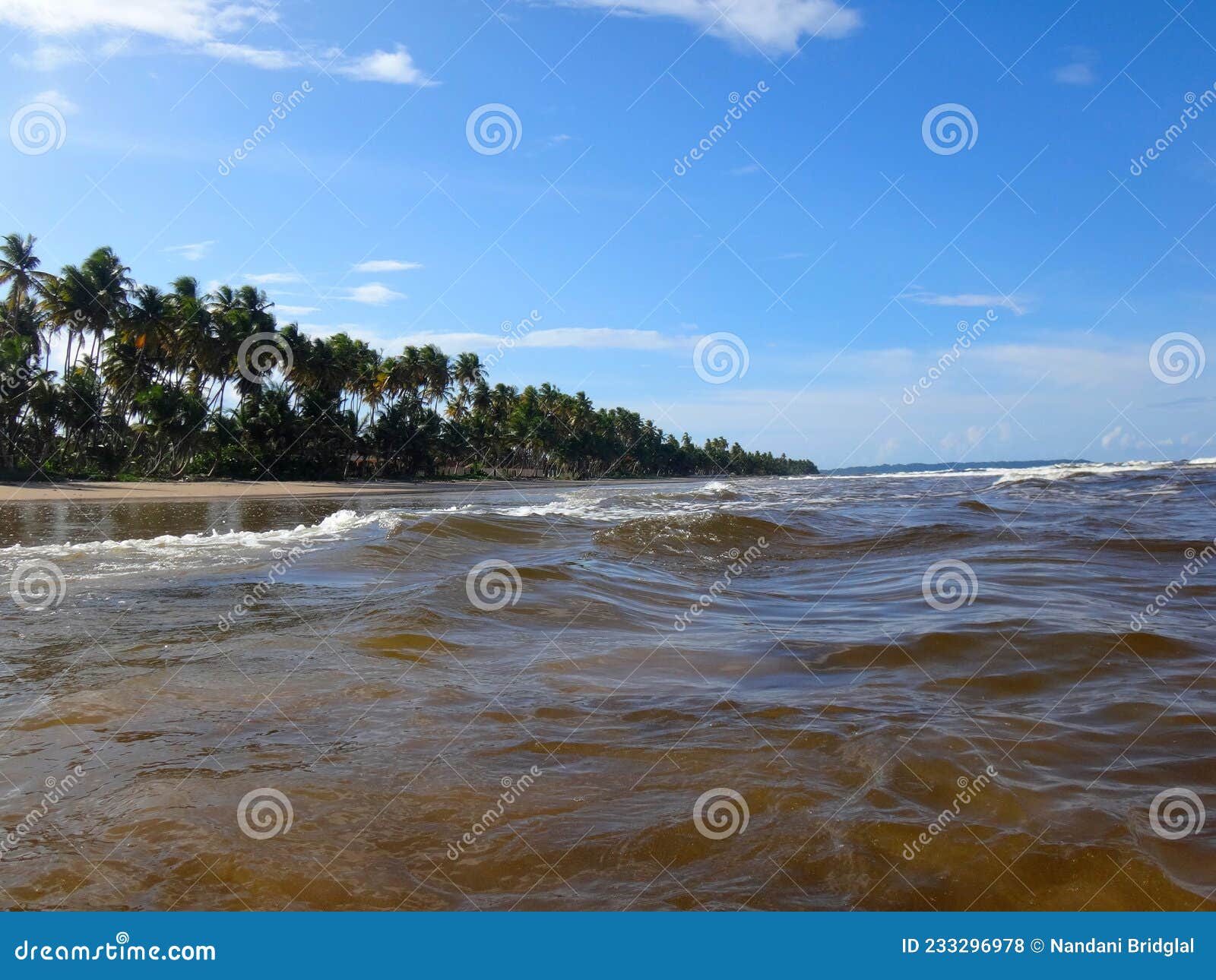 Mayaro Beach, Trinidad stock photo. Image of blue, coast - 233296978
