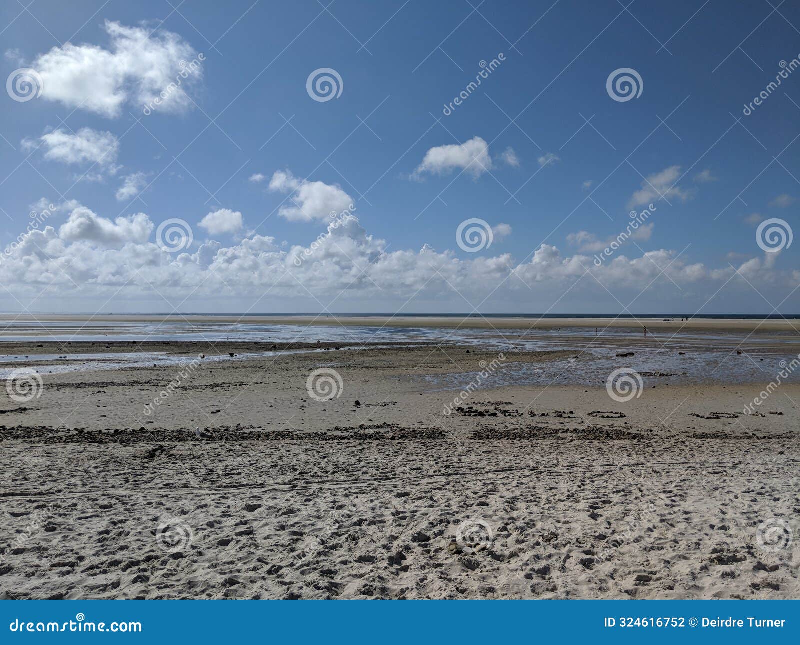 Mayflower Beach Tidal Flats Cape Cod Stock Photo - Image of wetland ...