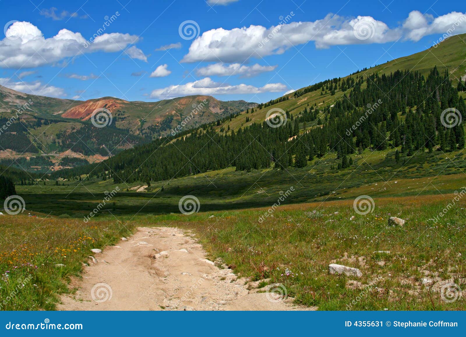 Mayflower Gulch stock image. Image of mayflower, alpine - 4355631