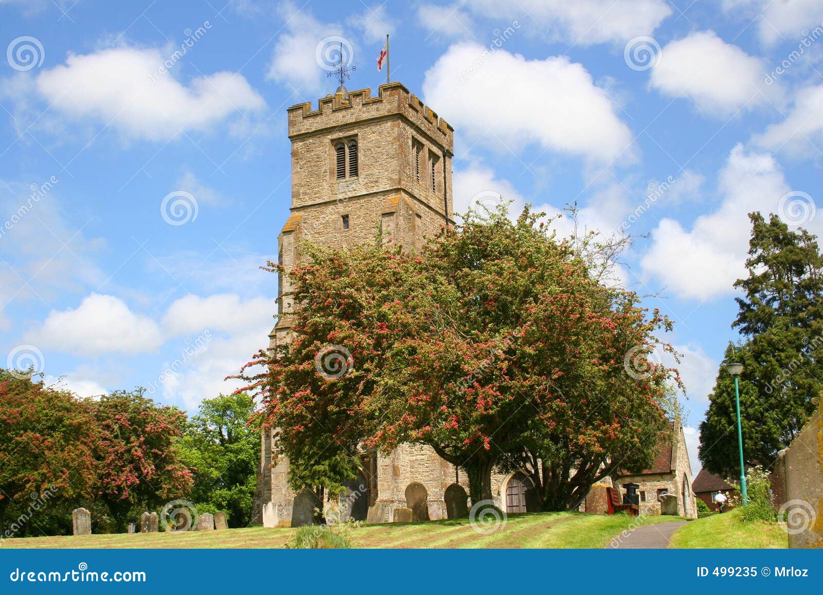 Mayflower Tree in Old English Churchyard Stock Image - Image of ...