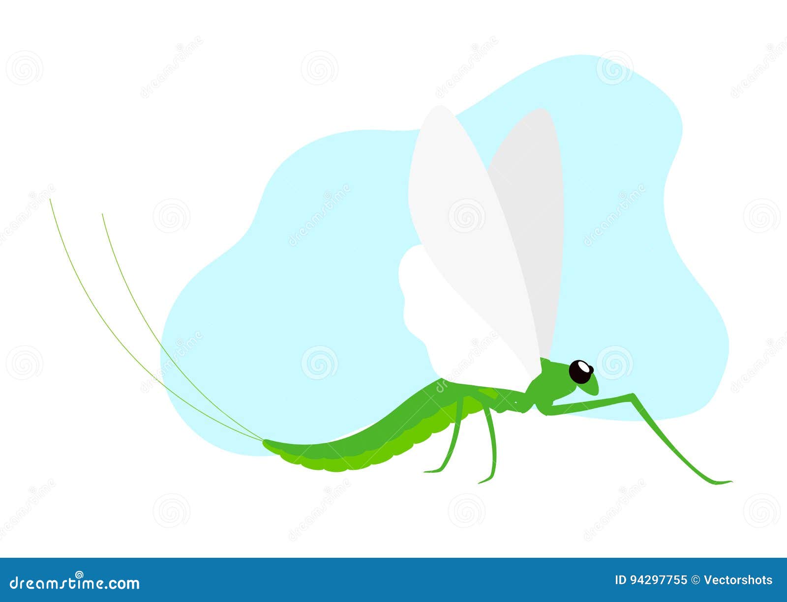 Mayfly Insect stock vector. Illustration of insecticide - 94297755