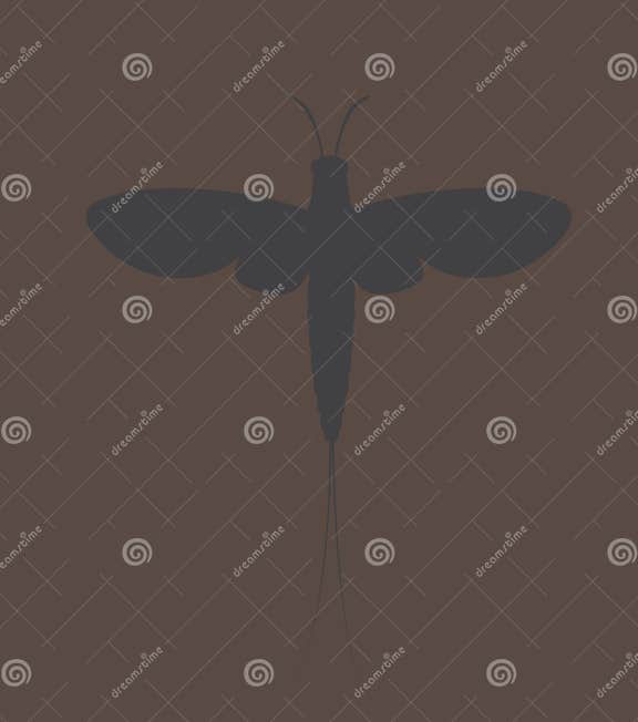Mayfly Insect Vector Silhouette Stock Vector - Illustration of sting ...