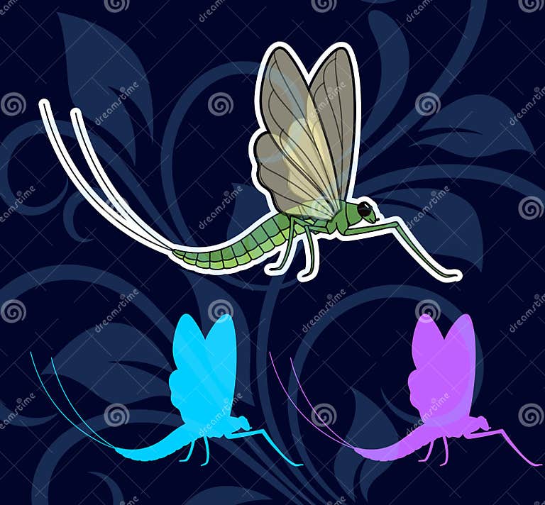 Mayfly Insects stock vector. Illustration of dragonfly - 94292068