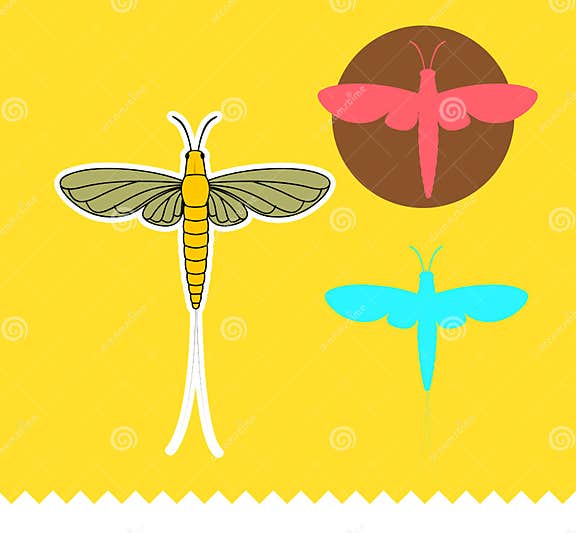 Mayfly Insects Vector stock vector. Illustration of maggot - 94291864