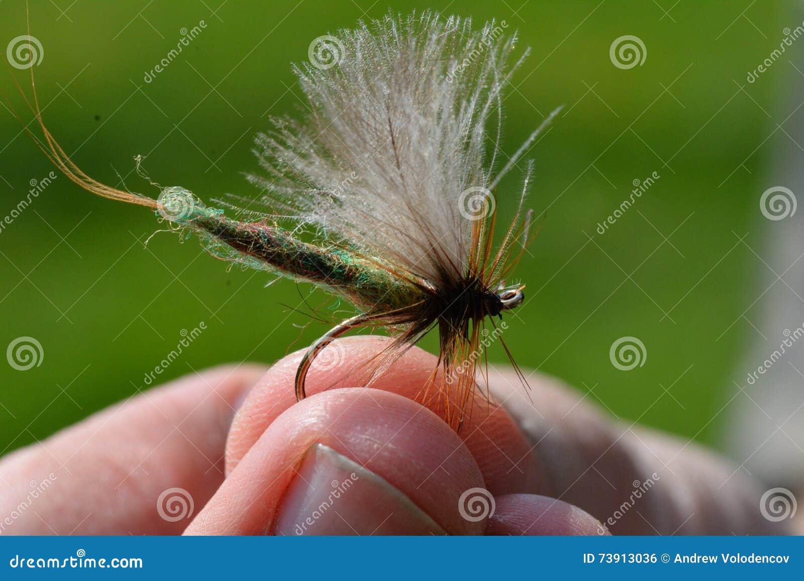 Mayfly pattern stock photo. Image of extendet, tackl - 73913036