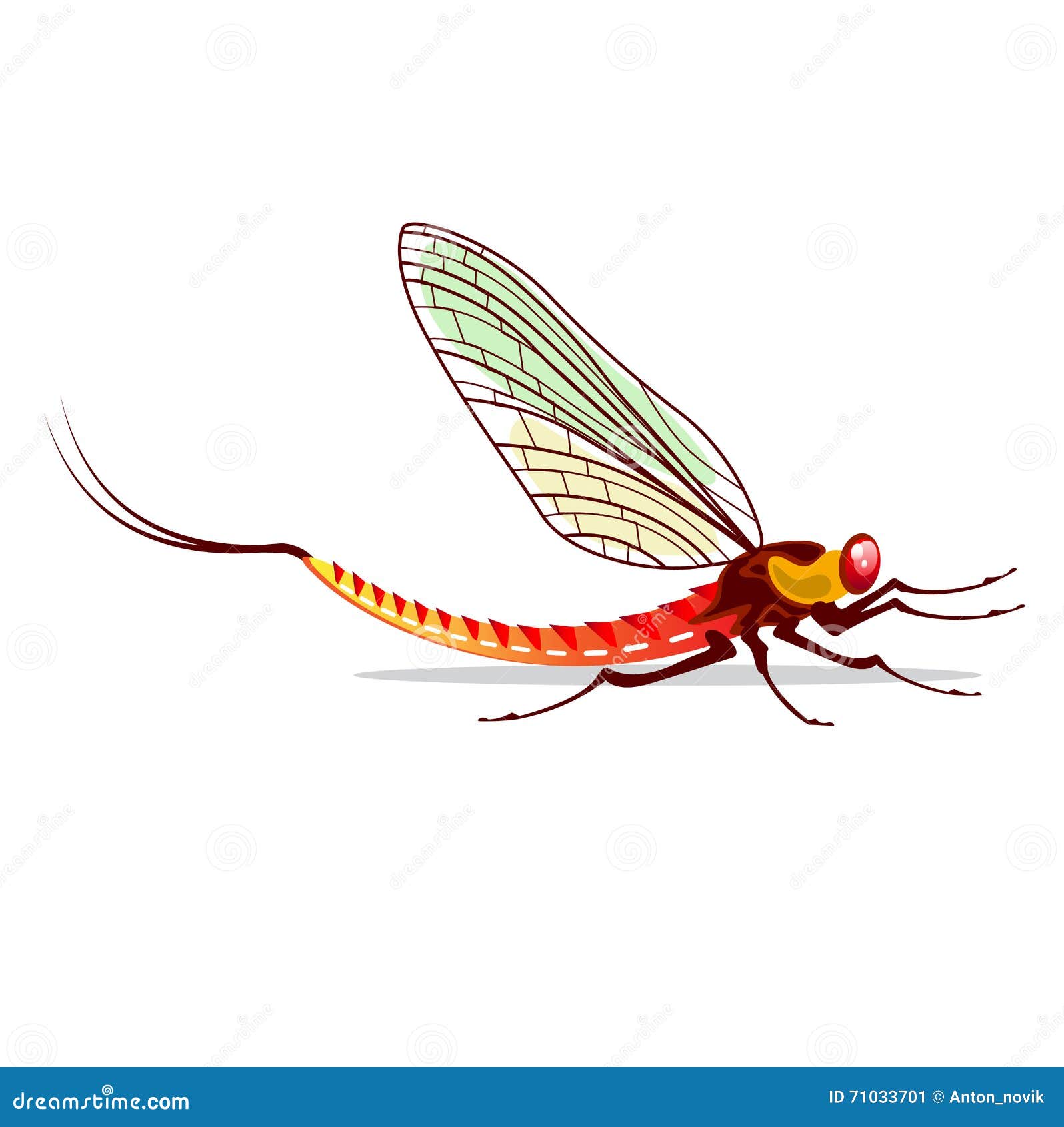 Mayfly vector illustration stock vector. Illustration of crawling ...