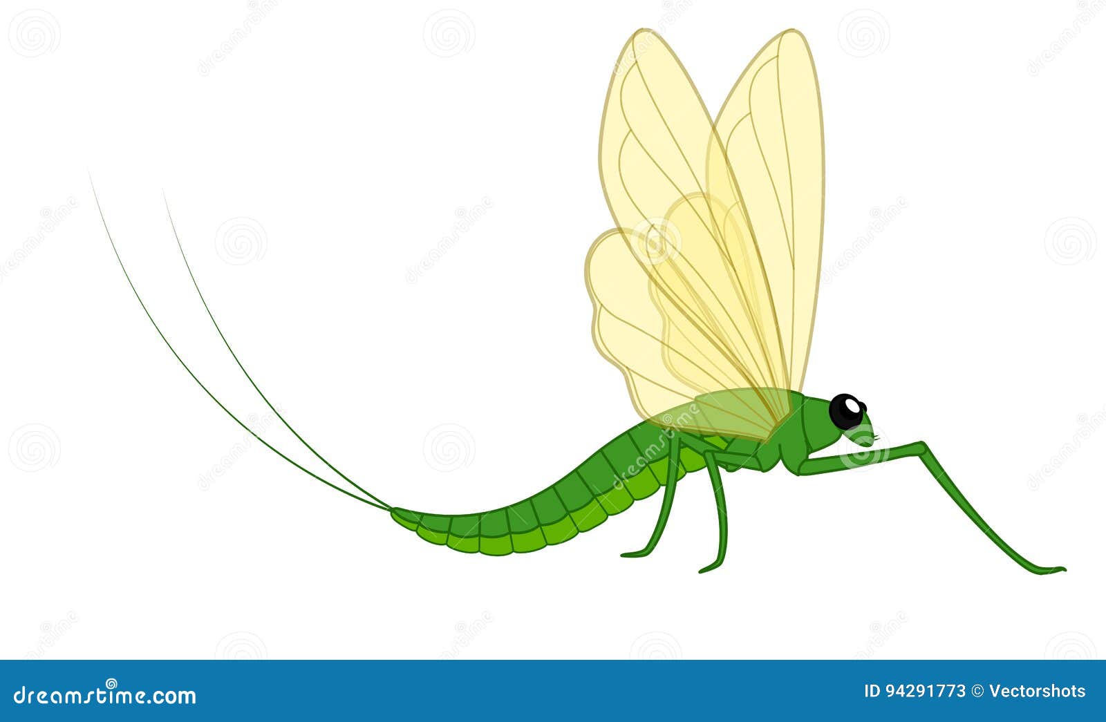 Mayfly Vector Insect stock vector. Illustration of invertebrate - 94291773