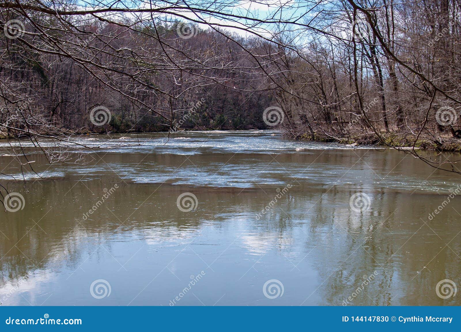 Mayo River at Mayo River State Park Stock Photo - Image of river, hike ...