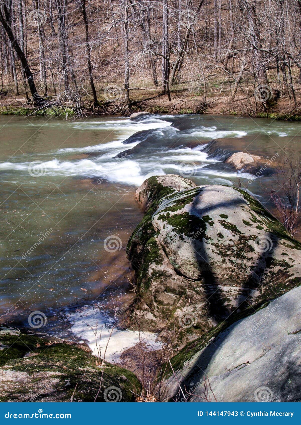 Mayo River at Mayo River State Park Stock Image - Image of fork, hike ...