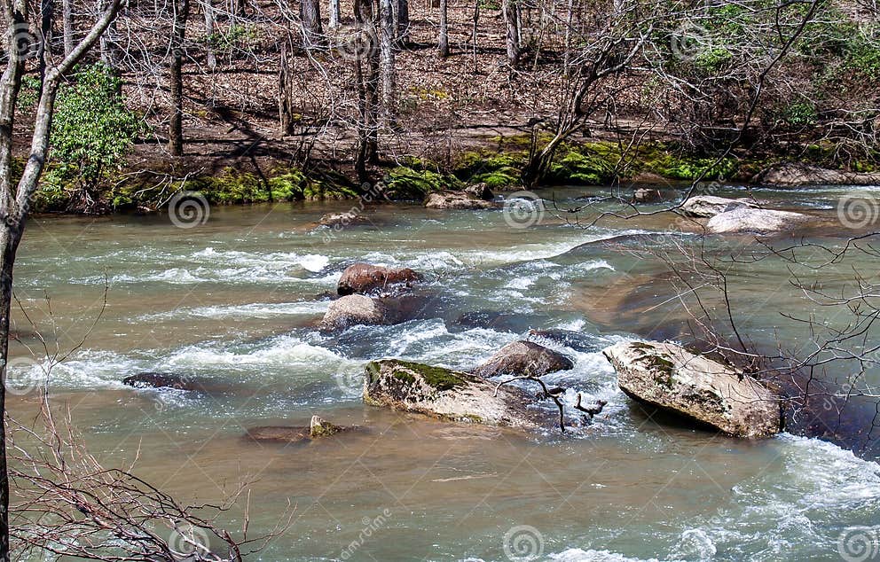 Mayo River at Mayo River State Park Stock Image - Image of river, water ...