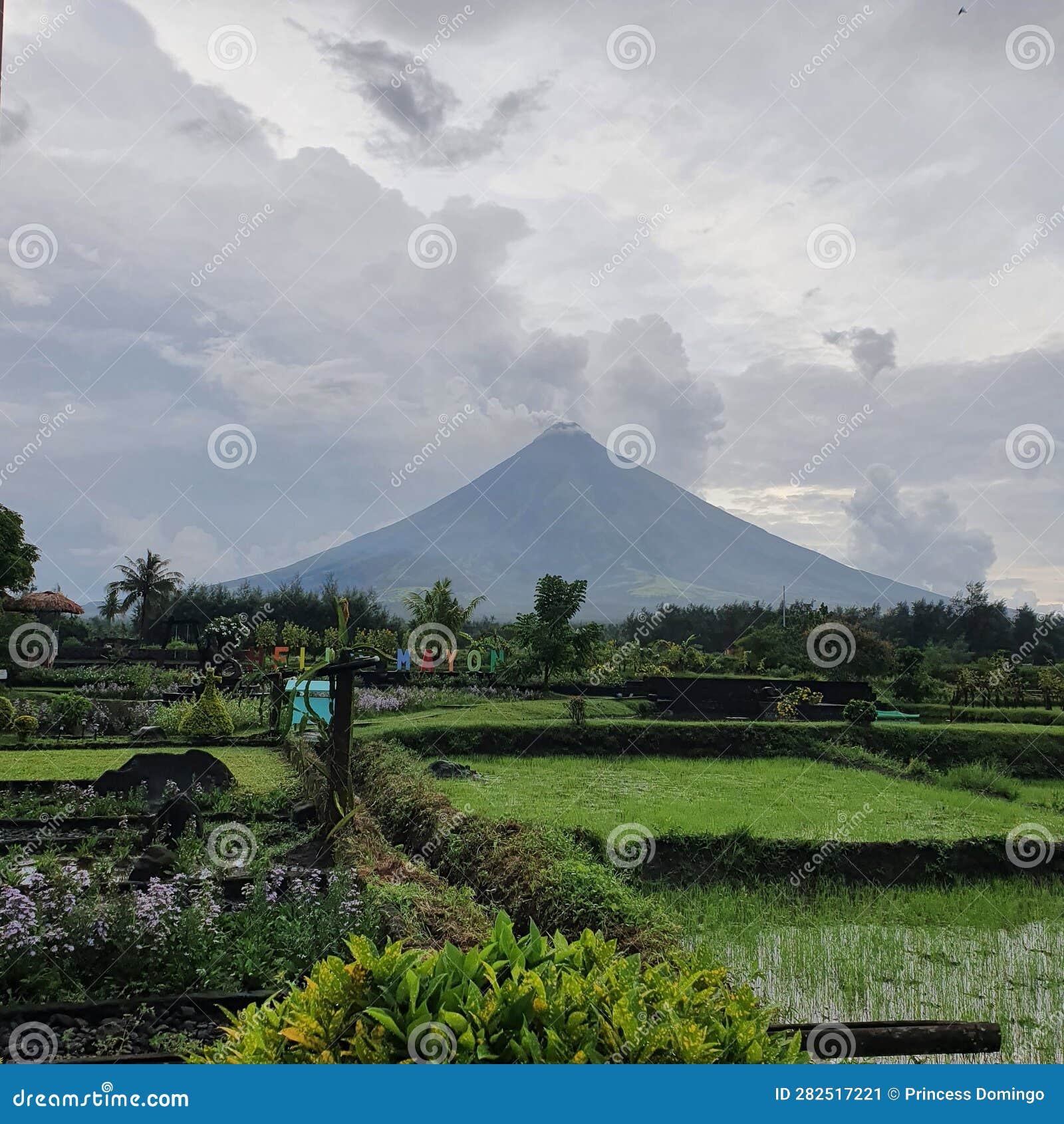 Mayon stock image. Image of mountain, landscape, farm - 282517221