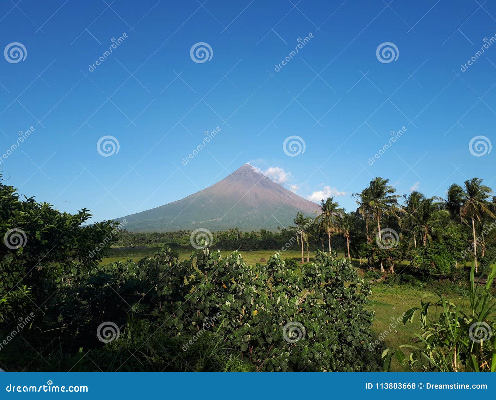 Mayon Volcano stock photo. Image of perfect, cone, scenery - 113803668