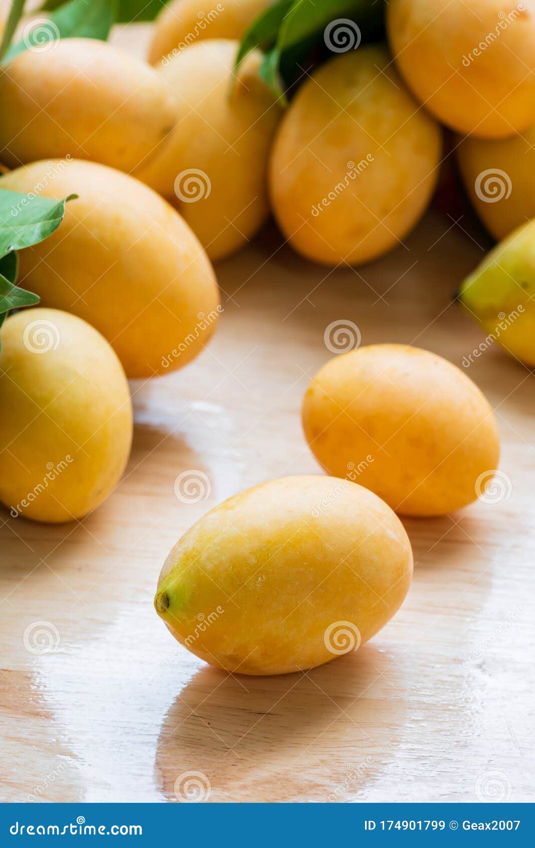 Mayongchid, Maprang Marian Plum, Plum Mango or Plango Stock Image ...