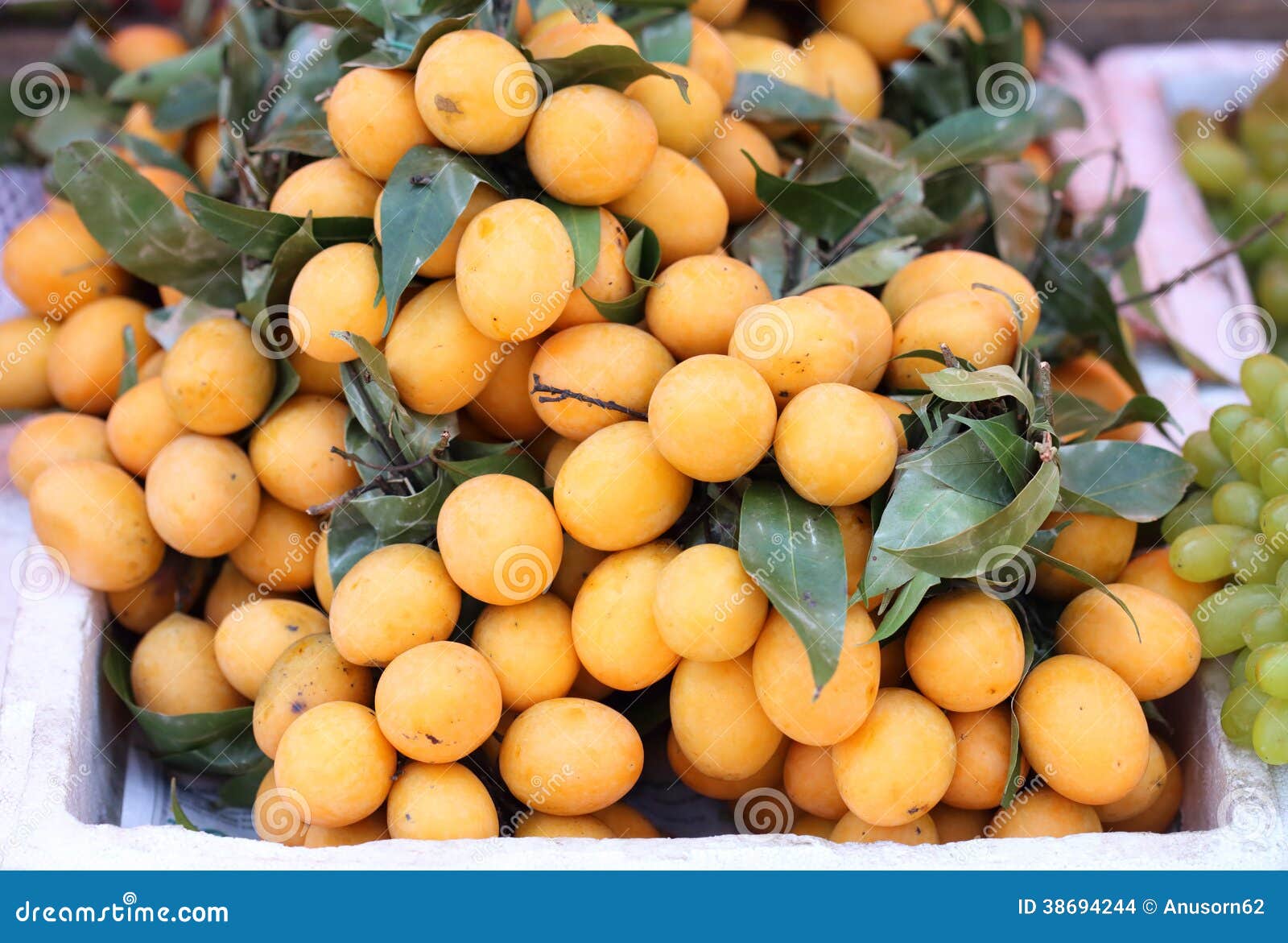 Mayongchid Maprang Marian Plum Tree Royalty-Free Stock Image ...