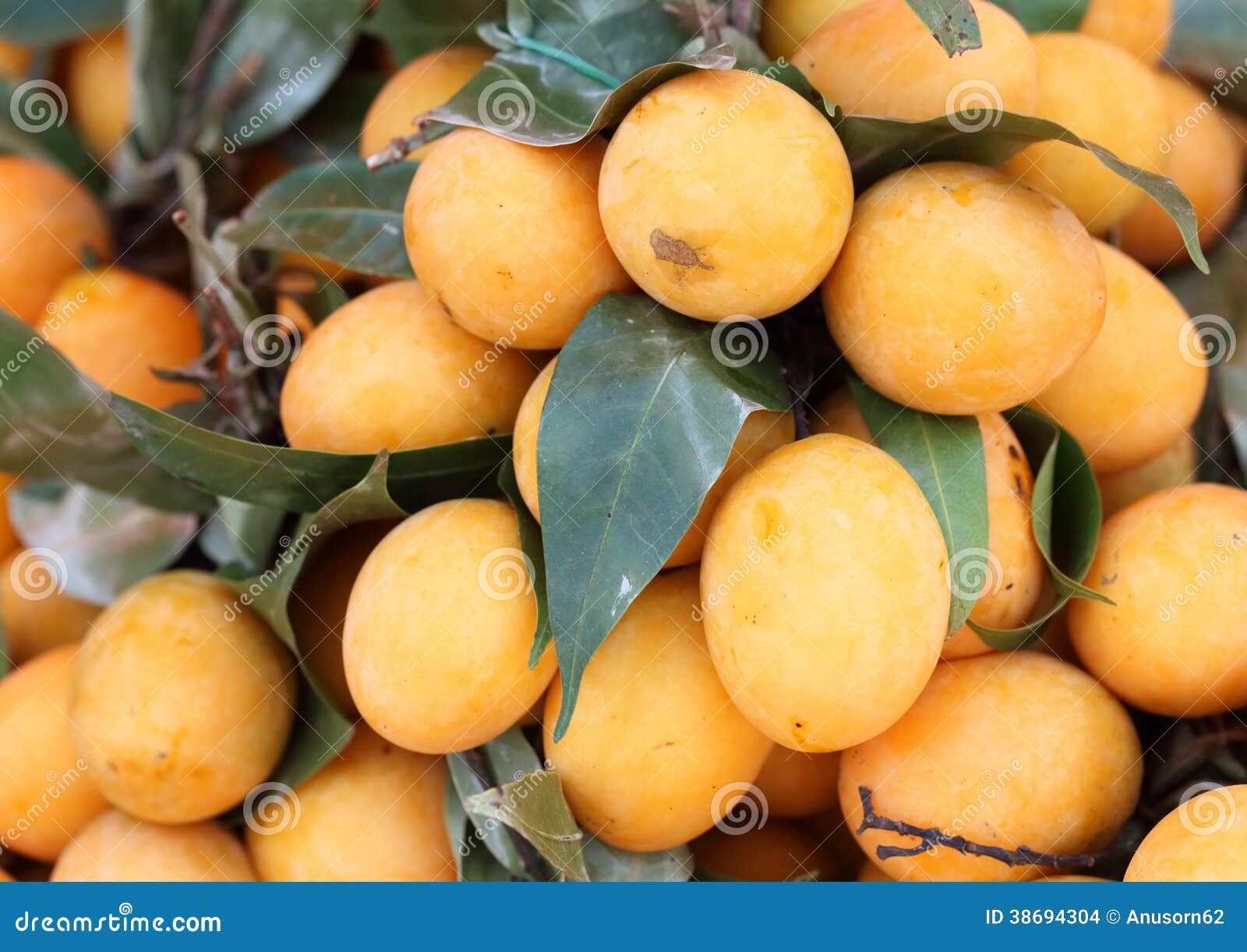 Mayongchid Maprang Marian Plum and Plum Mango Stock Photo - Image of ...