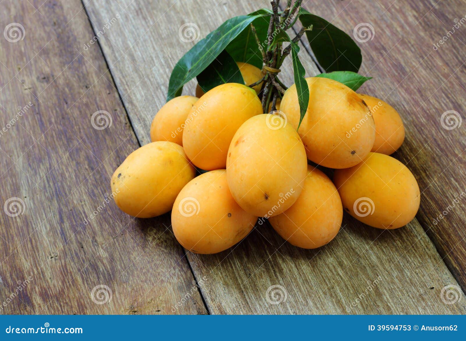 Mayongchid Maprang Marian Plum Tree Royalty-Free Stock Image ...
