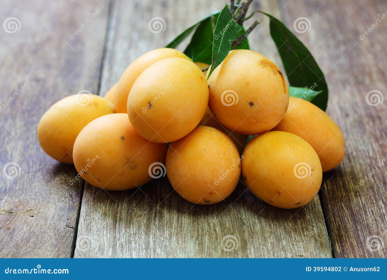 Mayongchid Maprang Marian Plum Tree Royalty-Free Stock Image ...