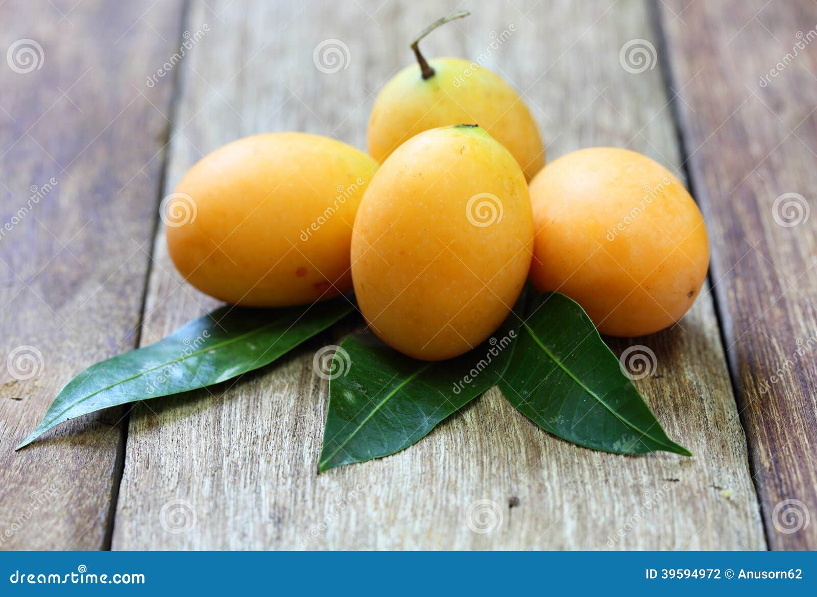 Mayongchid Maprang Marian Plum Tree Royalty-Free Stock Image ...