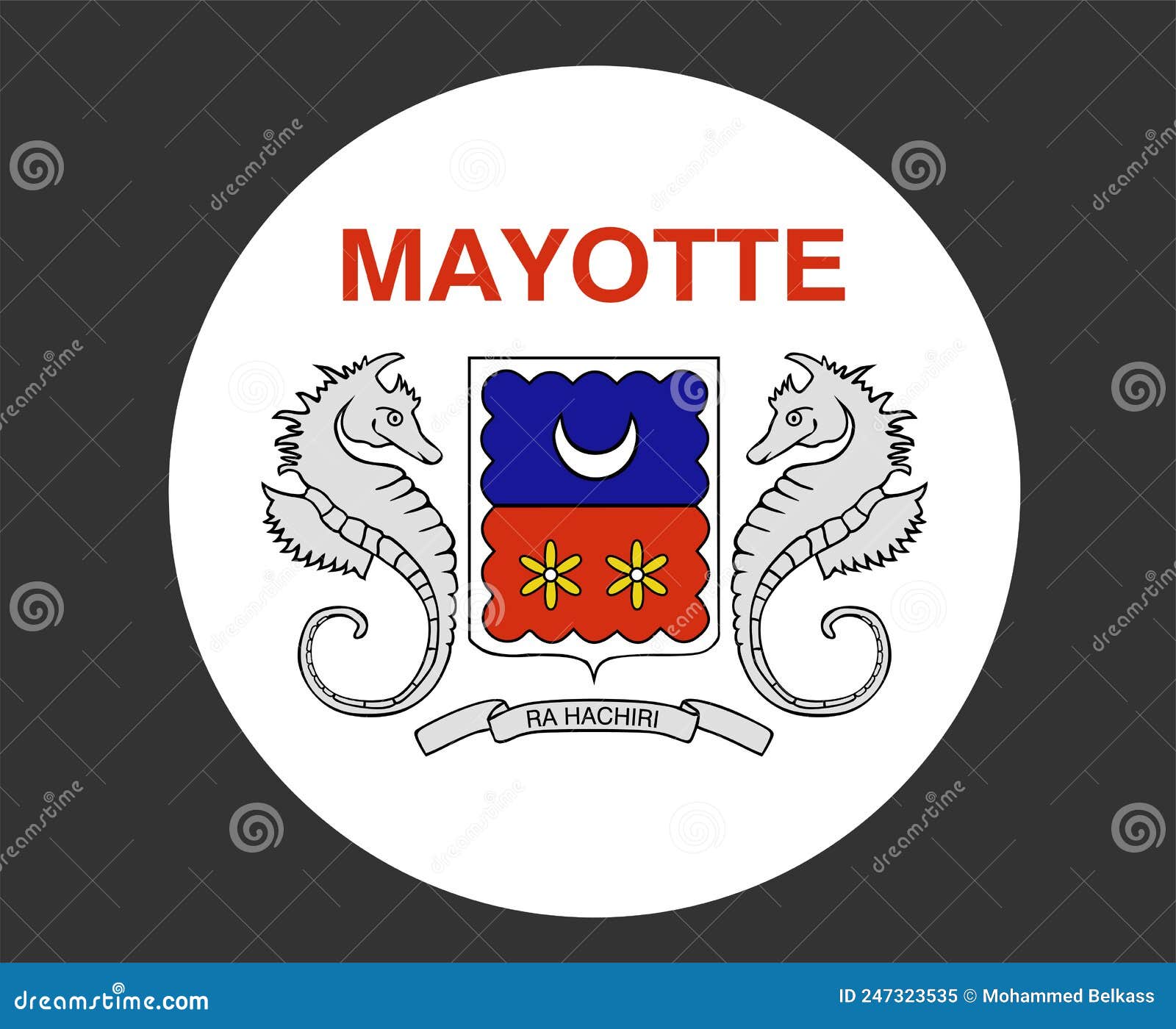 Mayotte Flag National Africa Emblem Icon Vector Stock Illustration ...