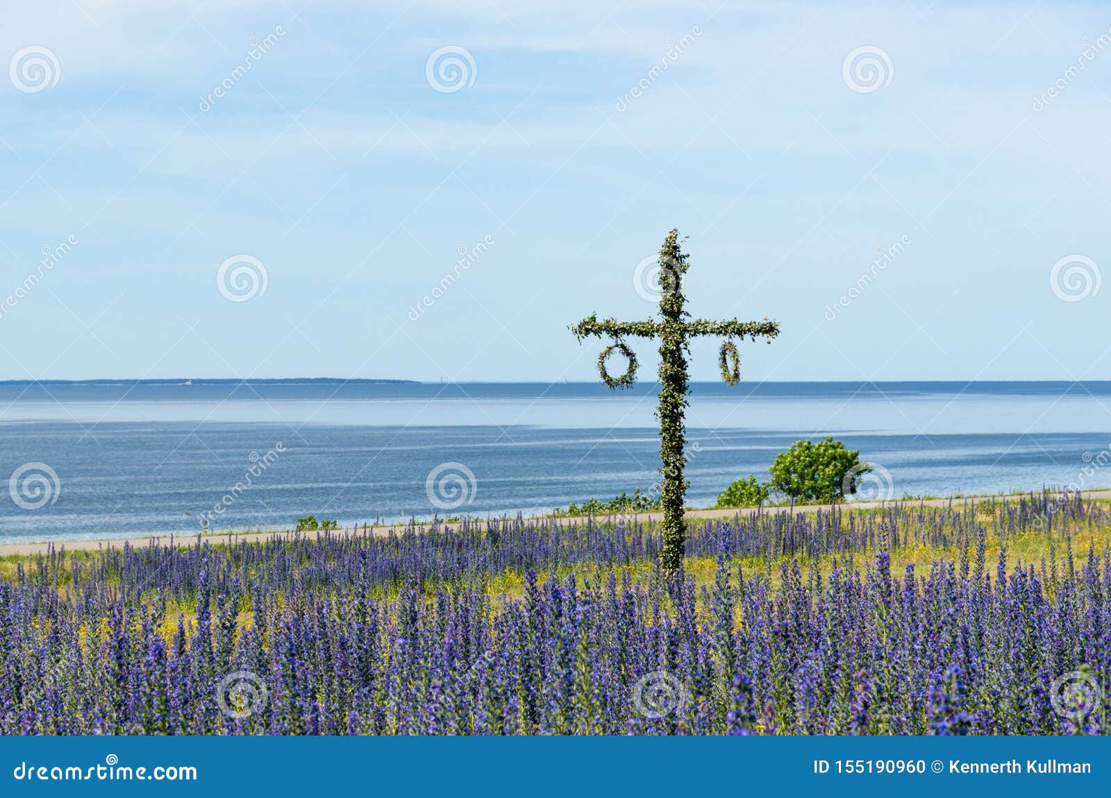 Maypole in a Blossom Blue Field by the Coast in Sweden Stock Photo ...