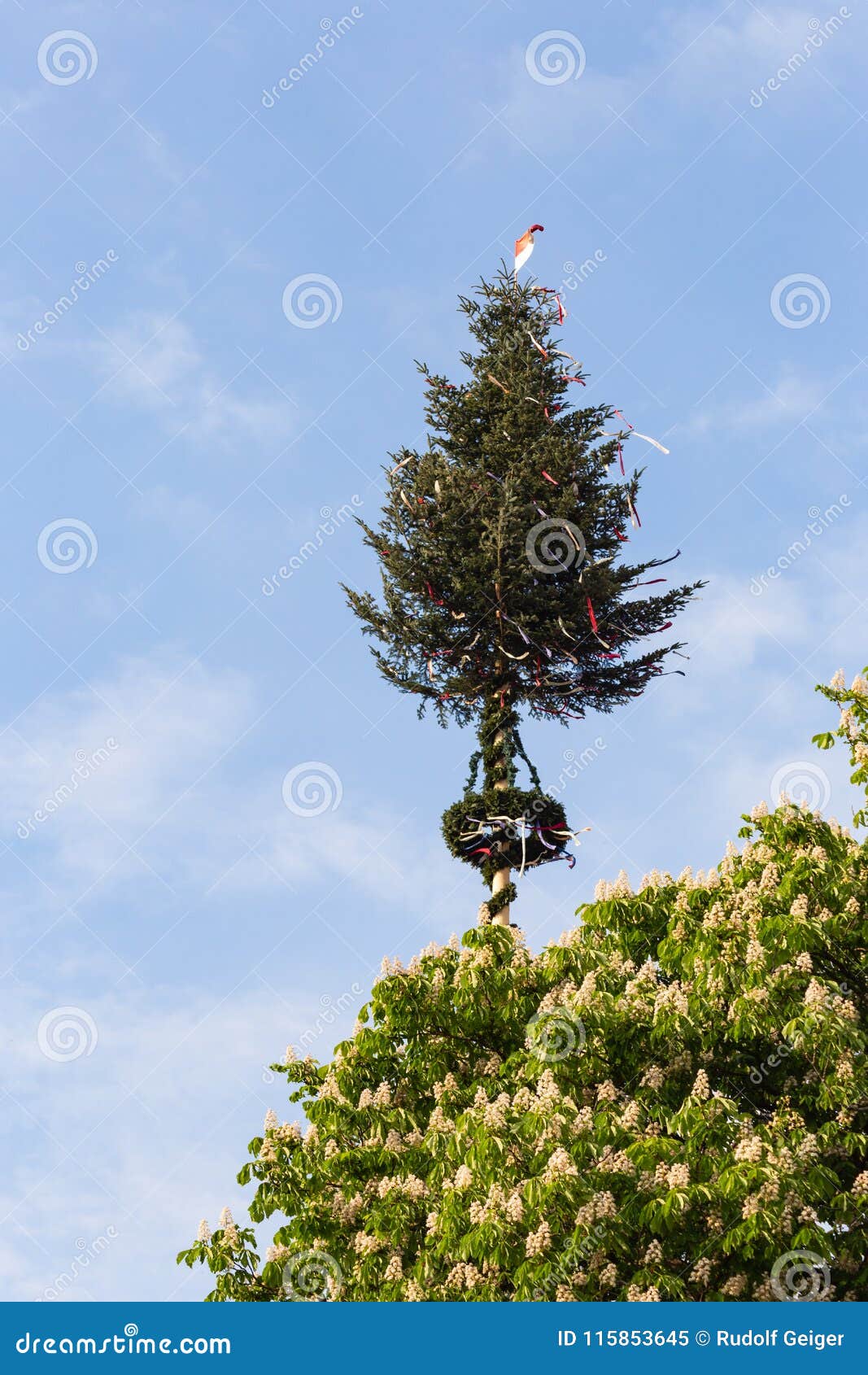 Maypole Dancing on a Sunny Holiday Stock Image - Image of branch, blue ...