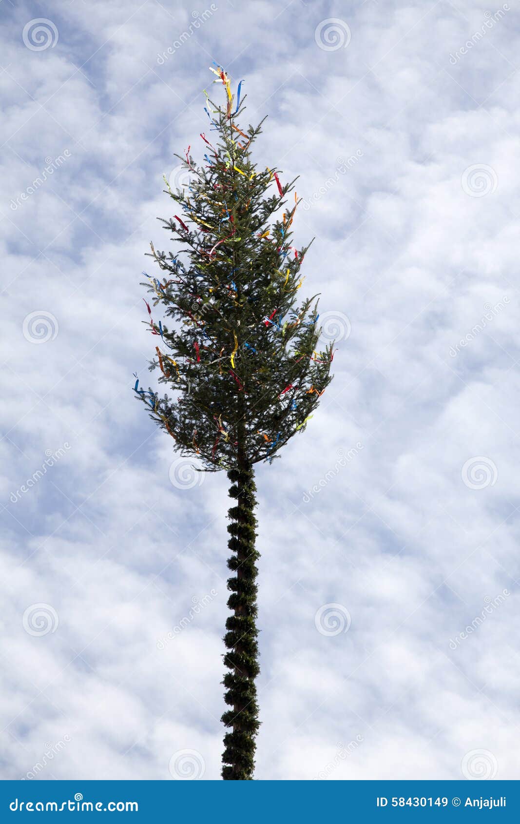 Maibaum German Tradition on 1 May. Decorated Tree Stock Image - Image ...