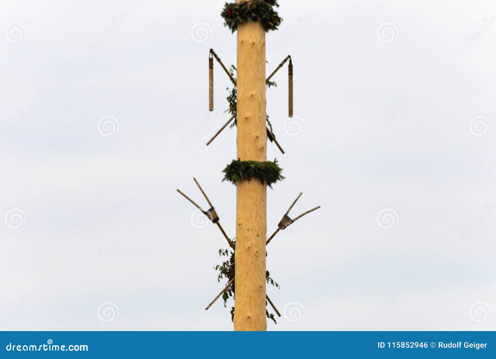 Maypole Dancing on a Sunny Holiday Stock Photo - Image of high, branch ...