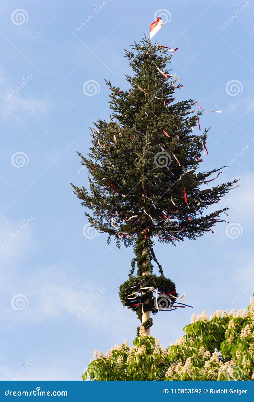 Maypole Dancing on a Sunny Holiday Stock Photo - Image of leaf, holiday ...