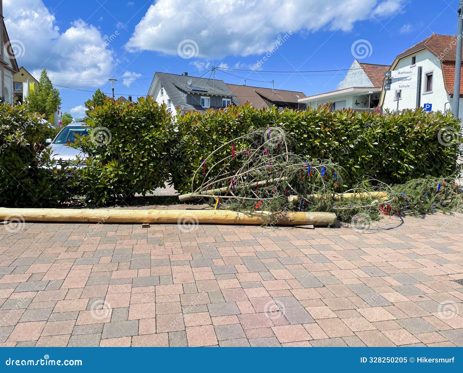 Maypole Sandweier Had To Be Cut Down by the Fire Brigade on 17 May 2024 ...