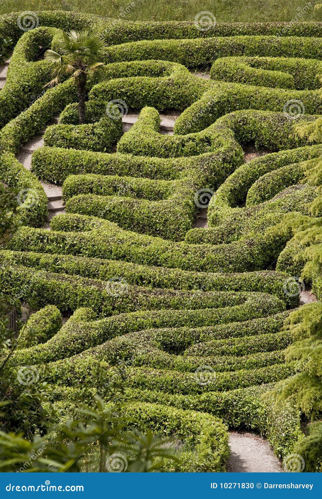 Shrubs Maze Royalty-Free Stock Photo | CartoonDealer.com #5134383