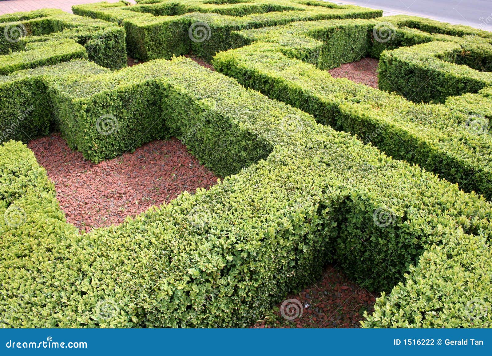 Maze stock photo. Image of hedge, puzzle, maze, grass - 1516222