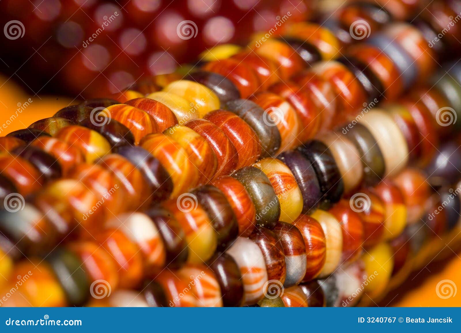 Indian Maze Pattern Photos - Free & Royalty-Free Stock Photos from ...