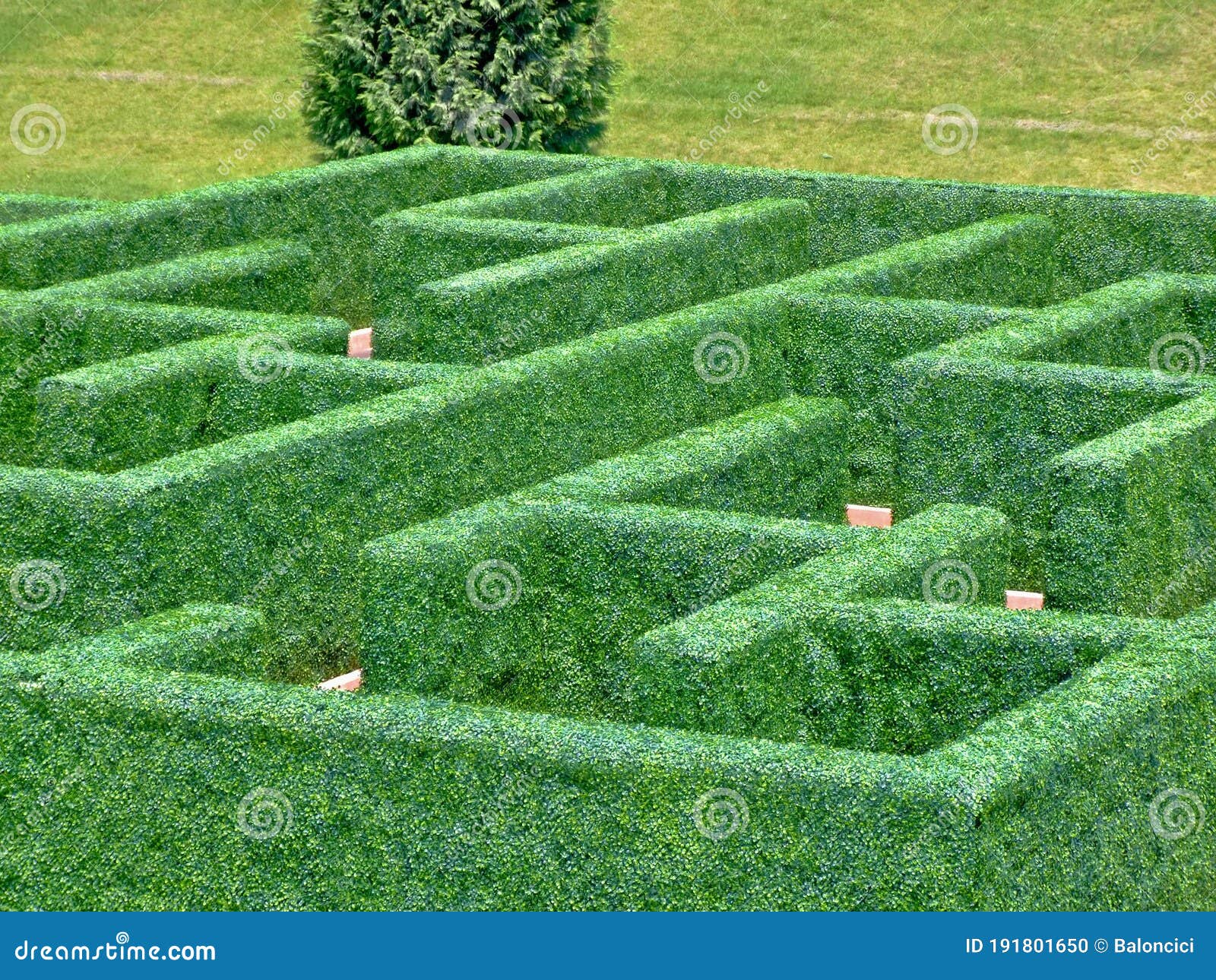 Maze garden stock photo. Image of pattern, confusion - 191801650