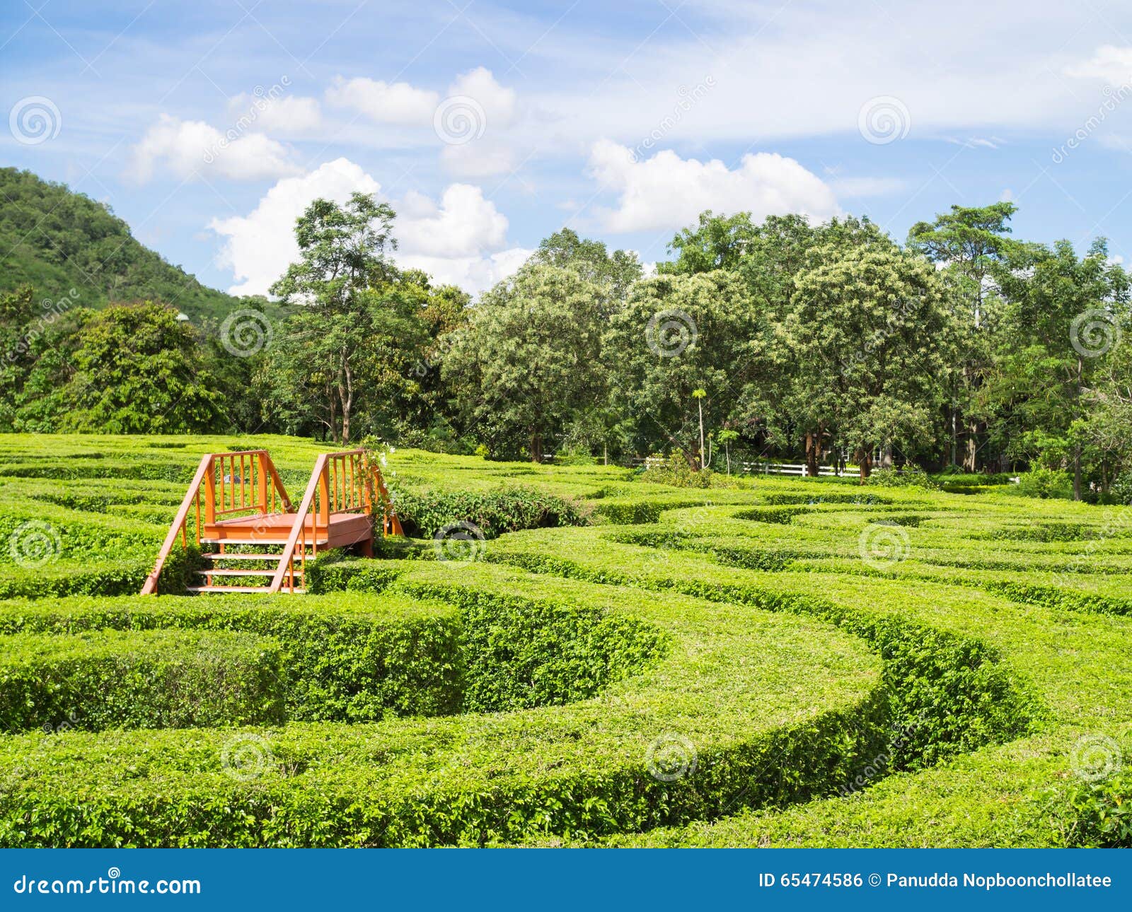 Maze garden stock photo. Image of garden, bridge, outdoor - 65474586