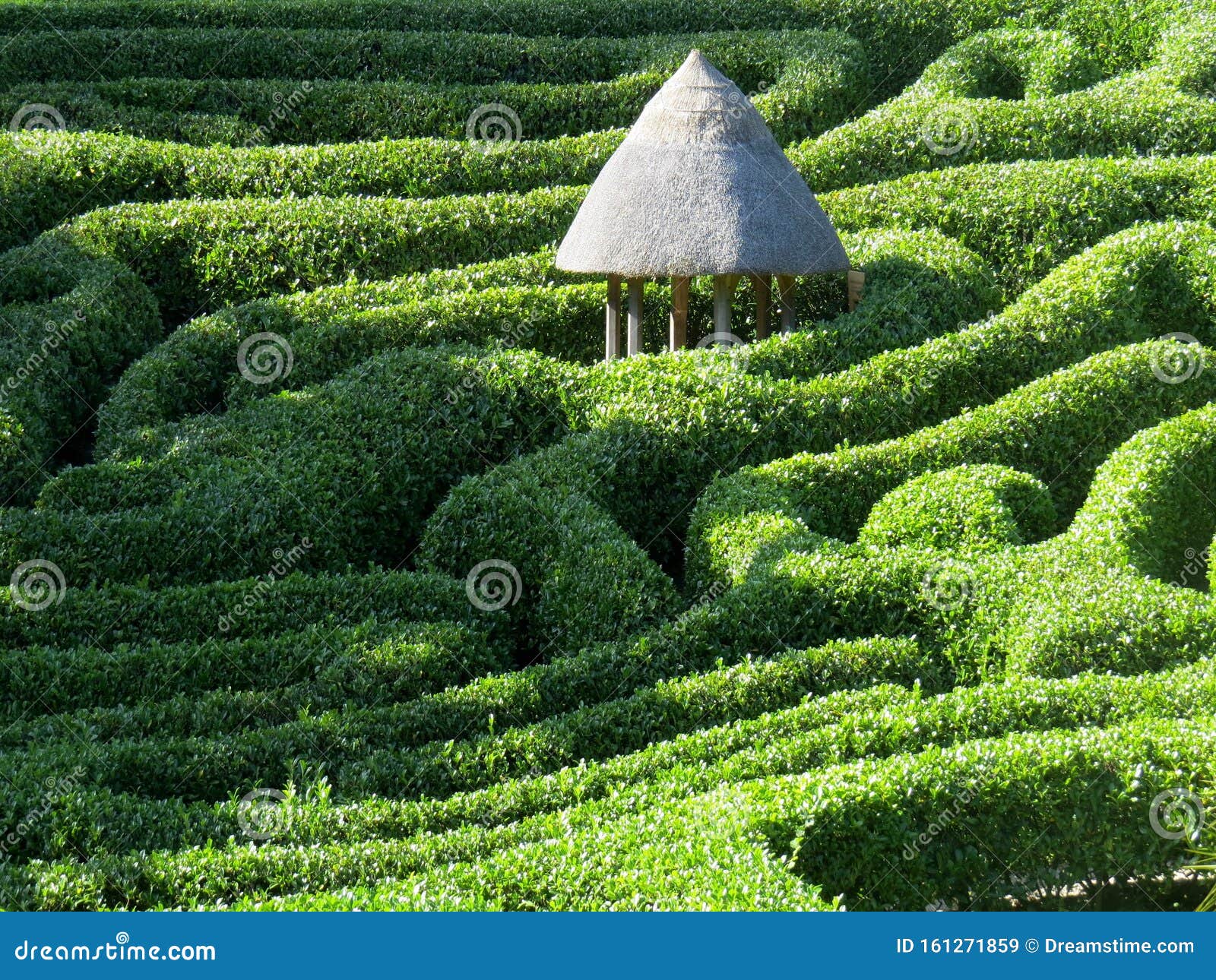 The Topiary Maze at Glendurgan Garden, Cornwall Editorial Stock Image ...