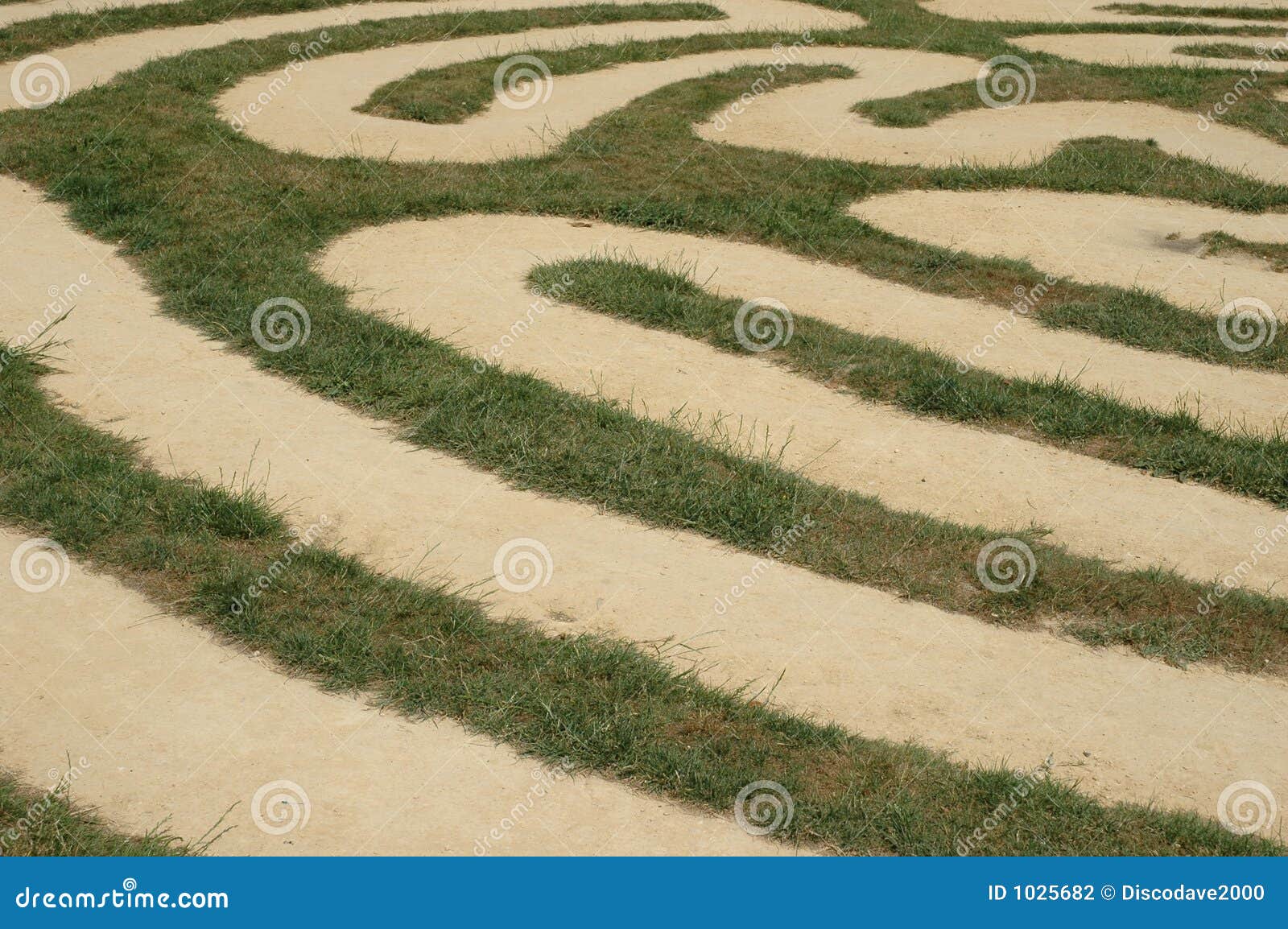 A Maze on Grass stock photo. Image of maze, puzzle, meandering - 1025682