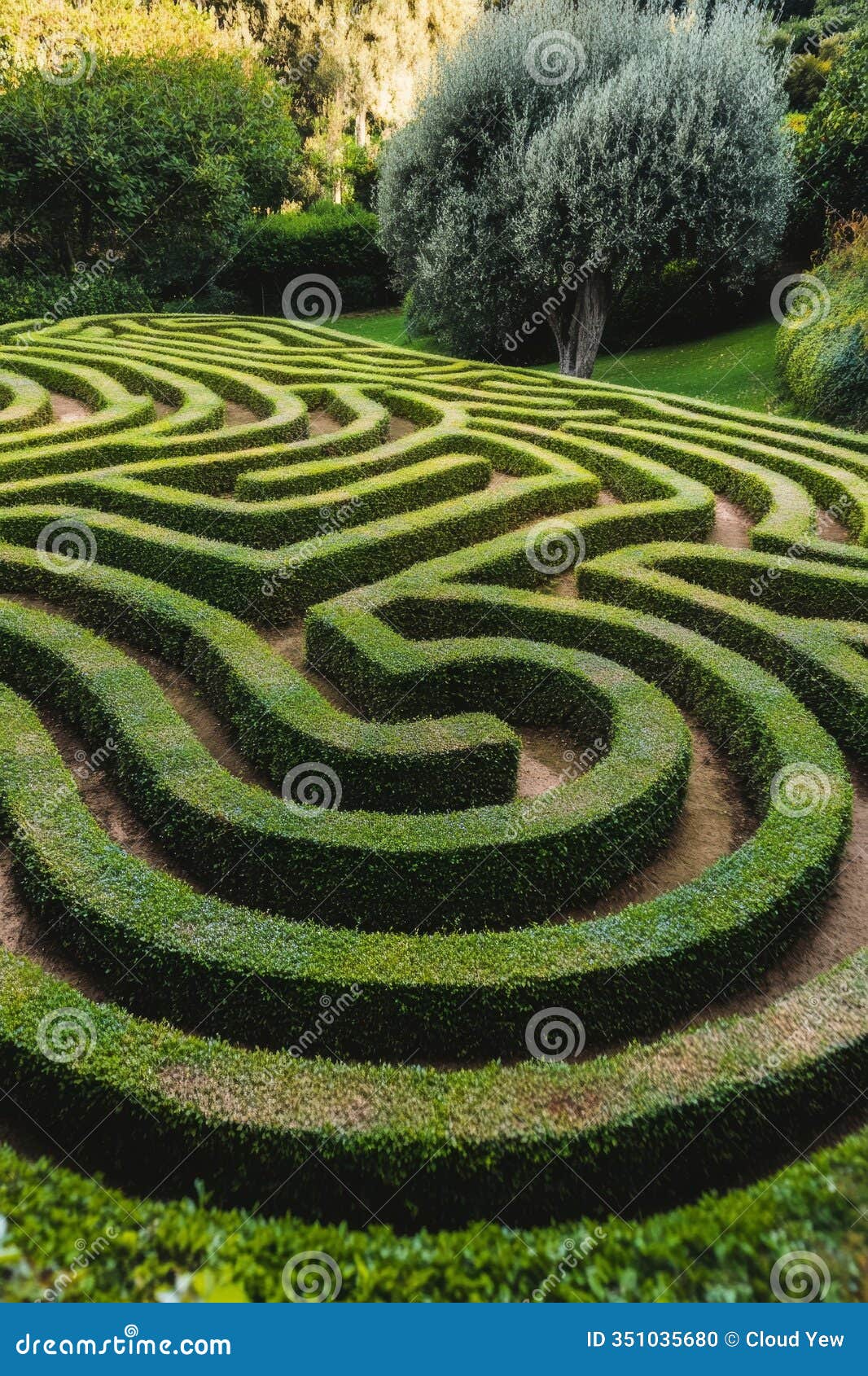 A Maze Made of Hedges with a Tree in the Middle Stock Illustration ...