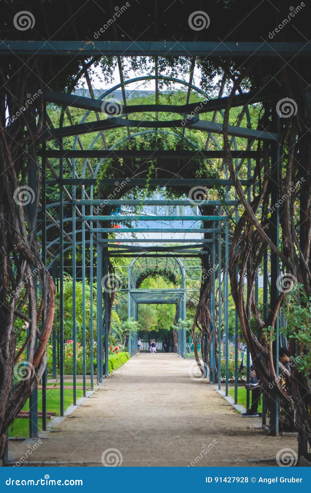 Maze path in the park stock photo. Image of outdoor, arch - 91427928