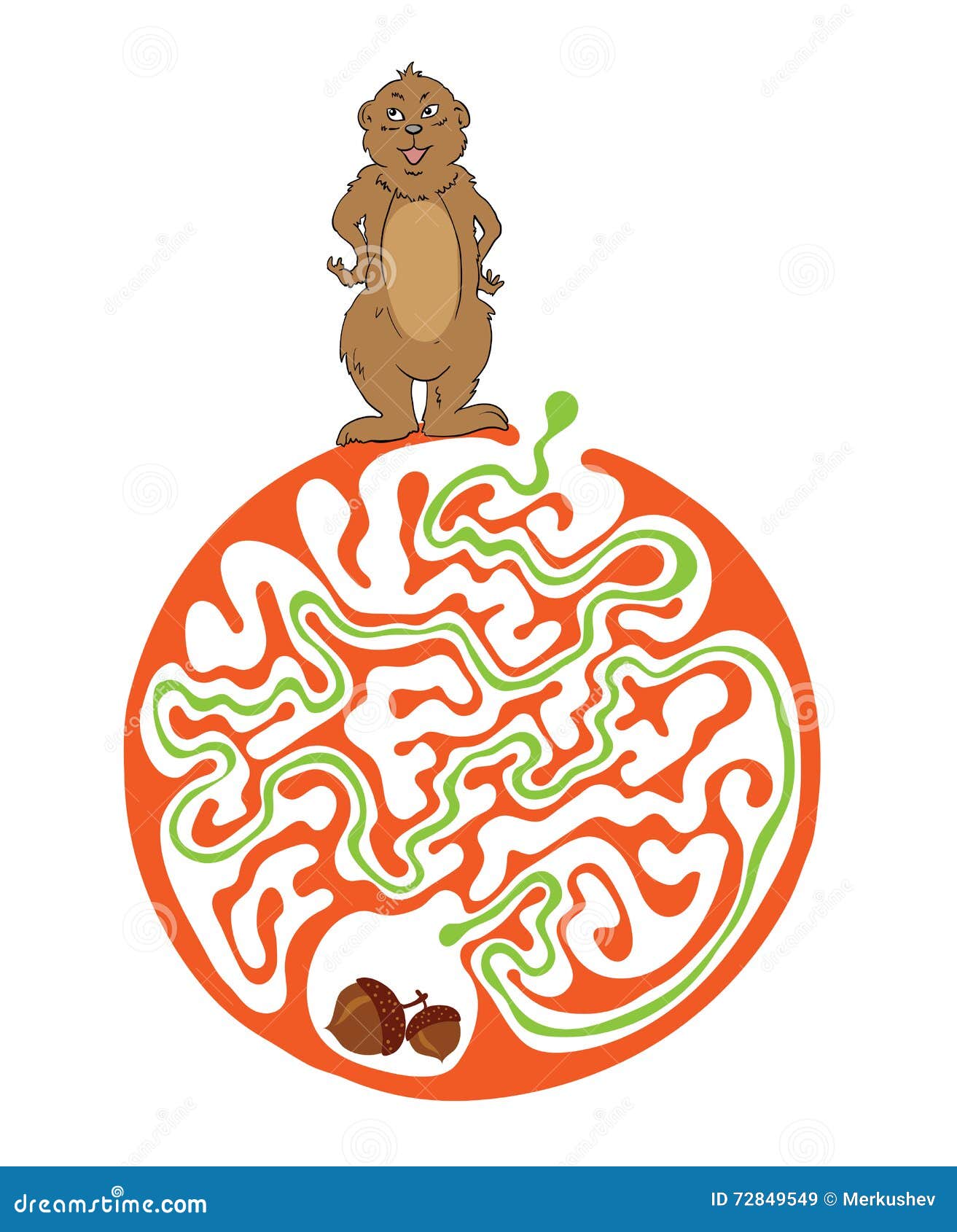 Maze Puzzle for Kids with Marmot and Nut. Labyrinth Illustration ...