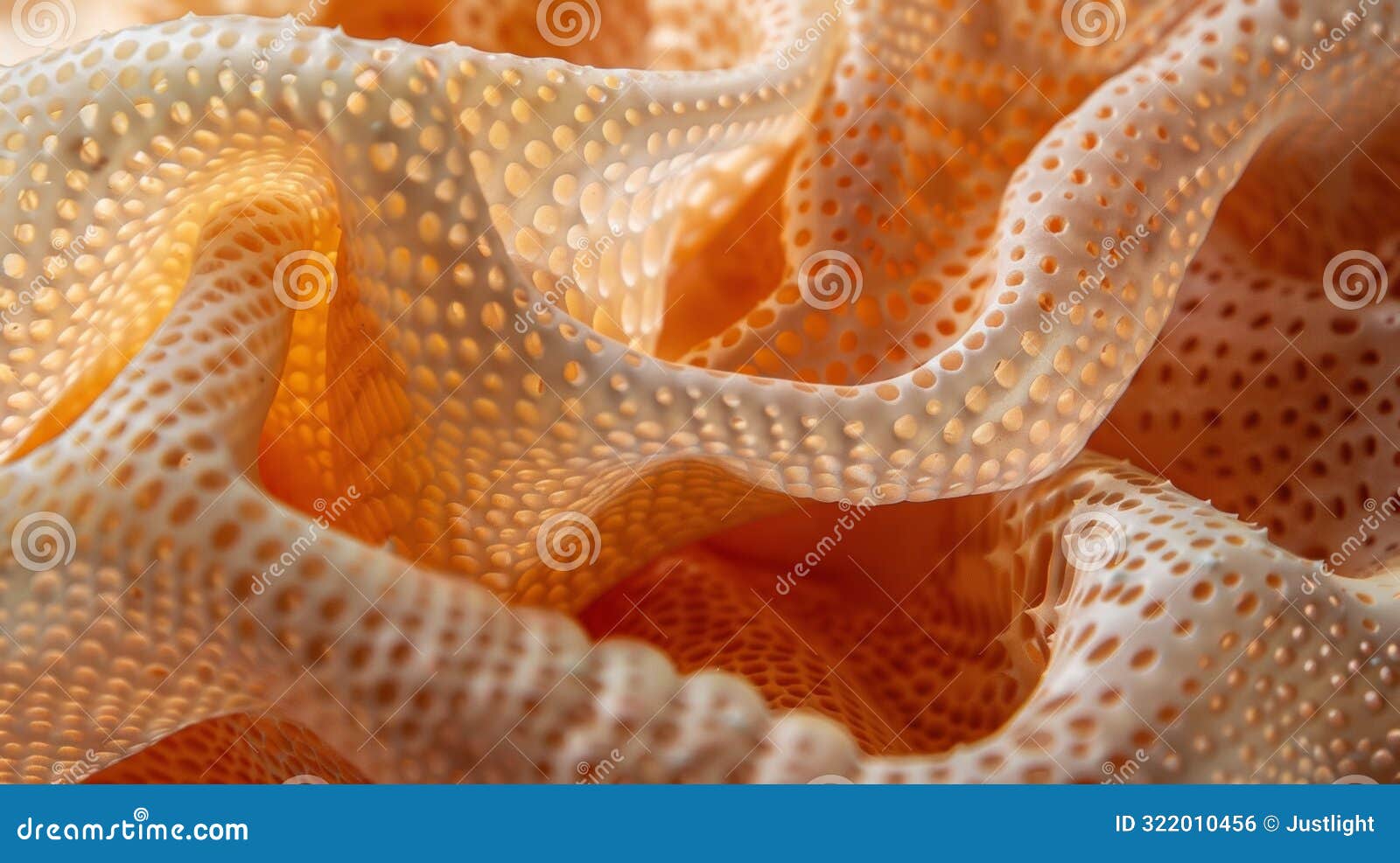 A Maze Of Small Tered Dots And Dimples Giving The Peel A Slightly ...