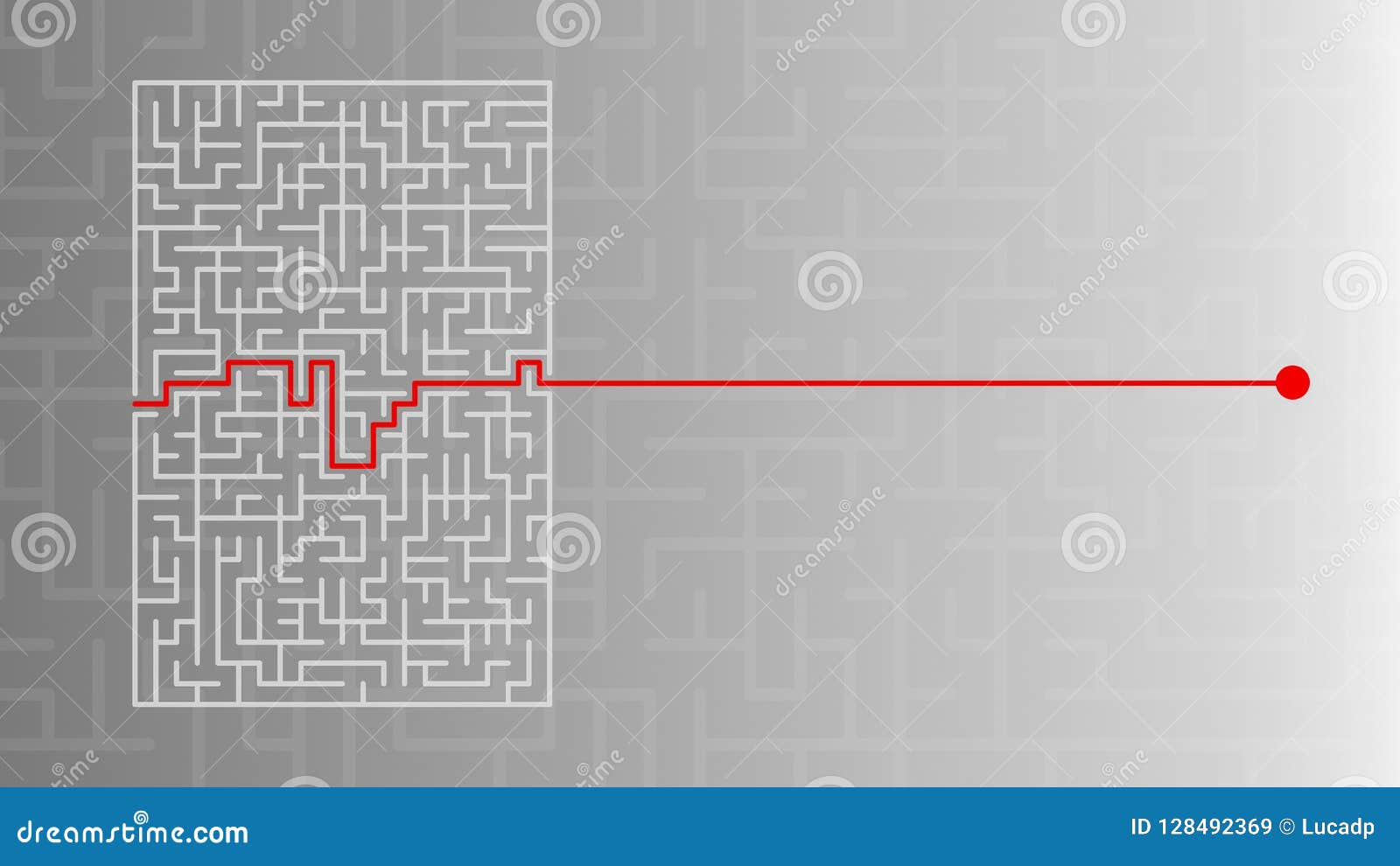 Top View Maze. Vector Aerial View Hedge Labyrinth | CartoonDealer.com ...