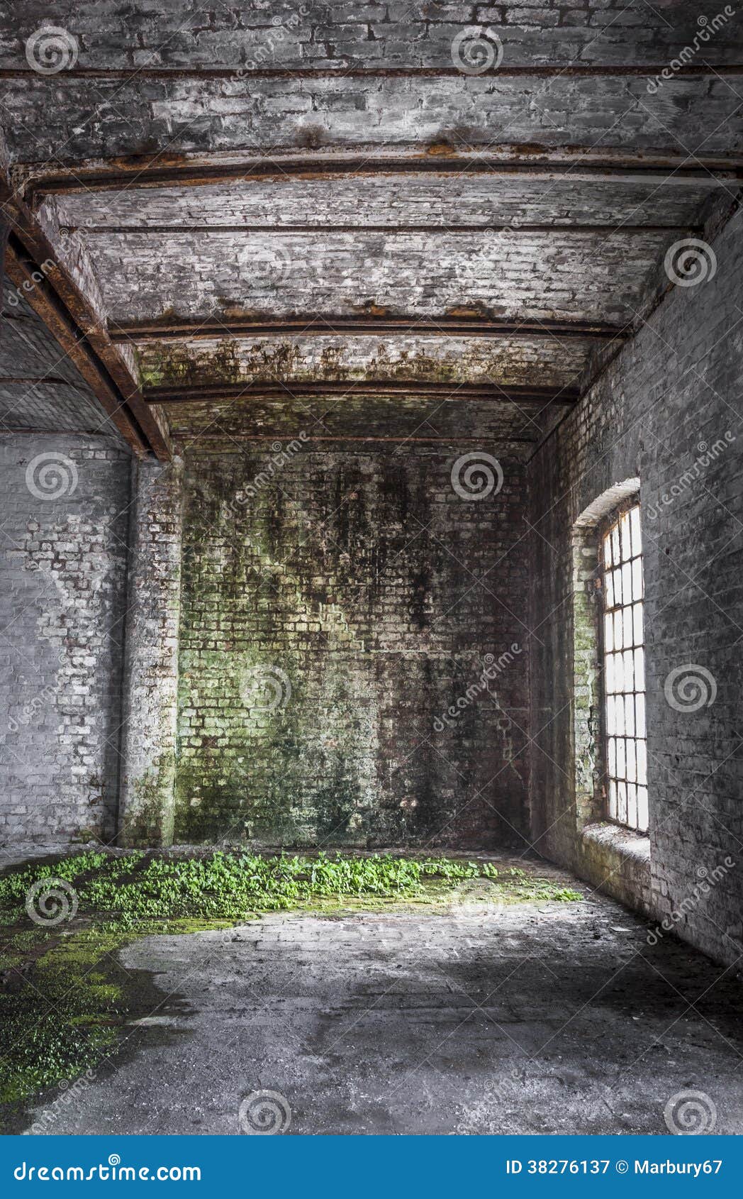 Mazmorra imagen de archivo. Imagen de limo, algas, edificio - 38276137