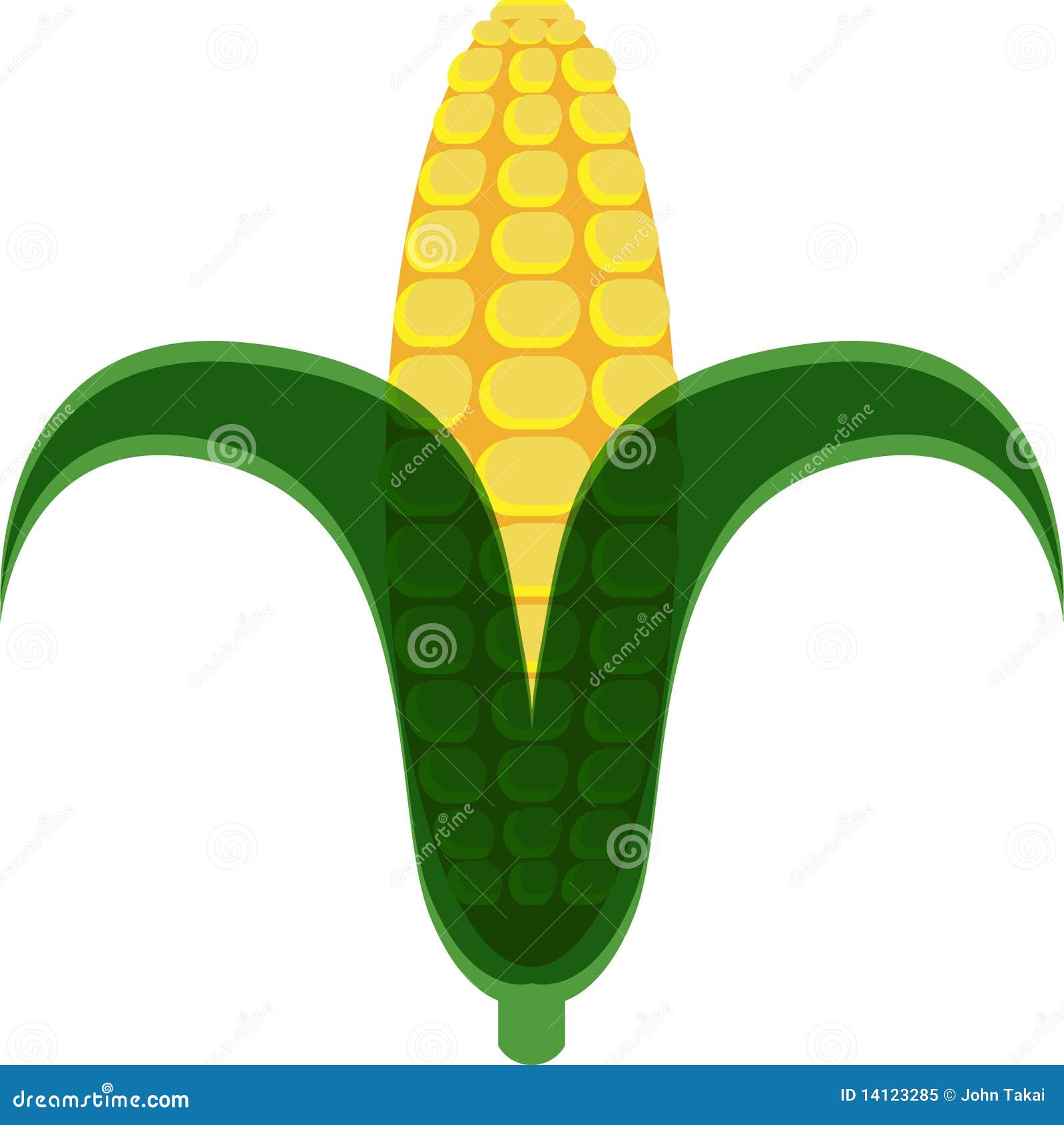 Mazorca de maíz ilustración del vector. Ilustración de blanco - 14123285