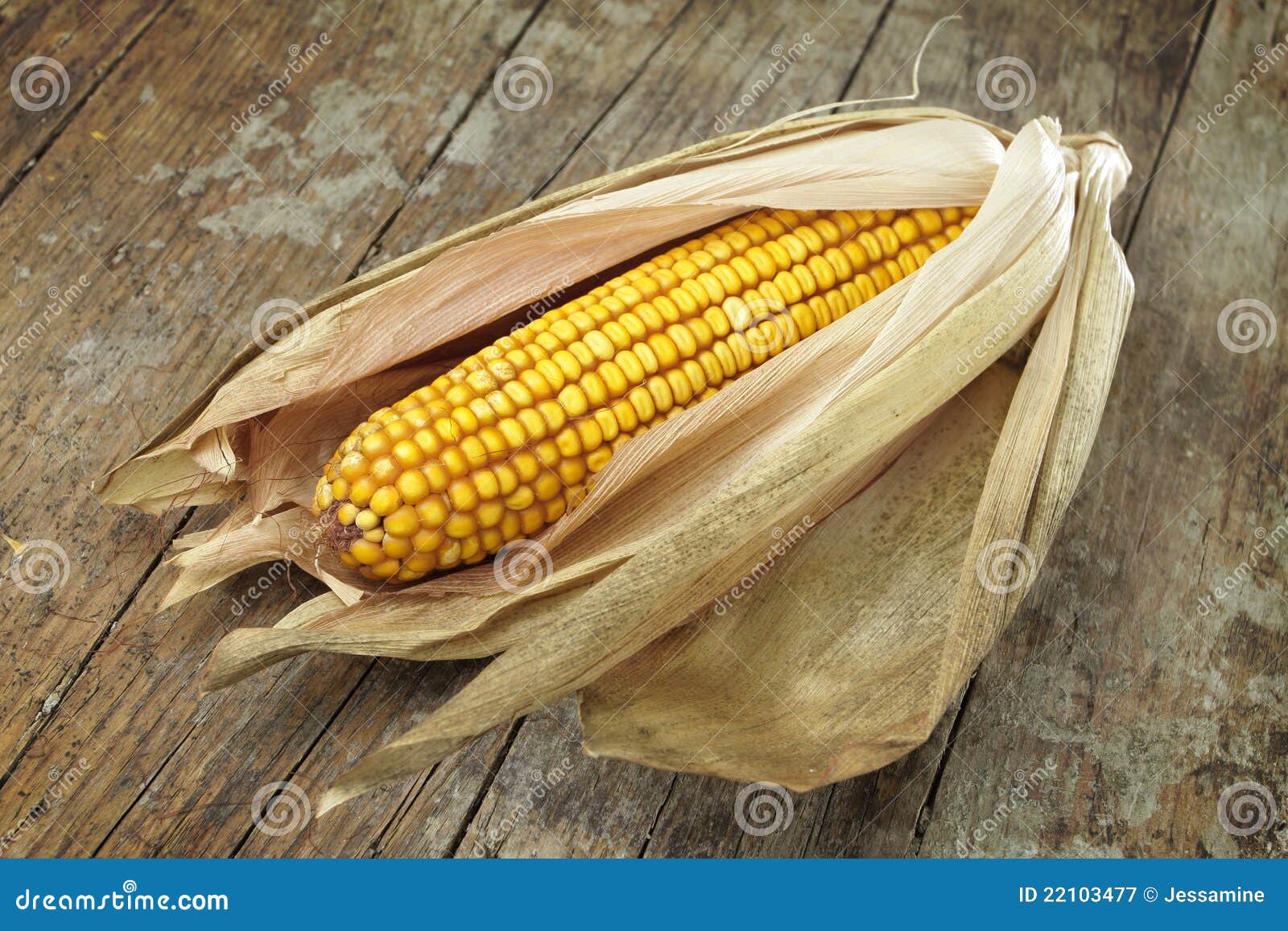 Mazorca De Maíz Con Las Hojas Imagen de archivo - Imagen de viejo, hoja ...