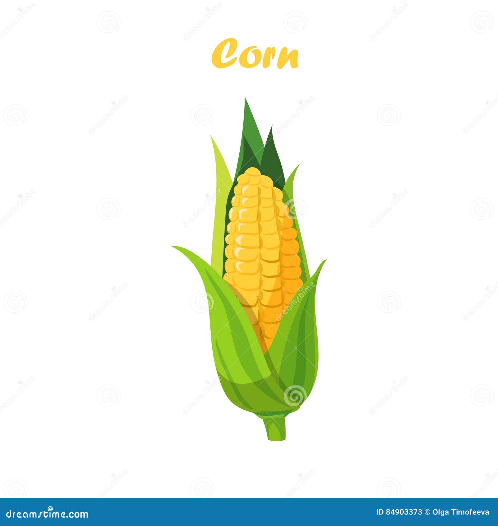 Mazorca de maíz del vector ilustración del vector. Ilustración de verde ...